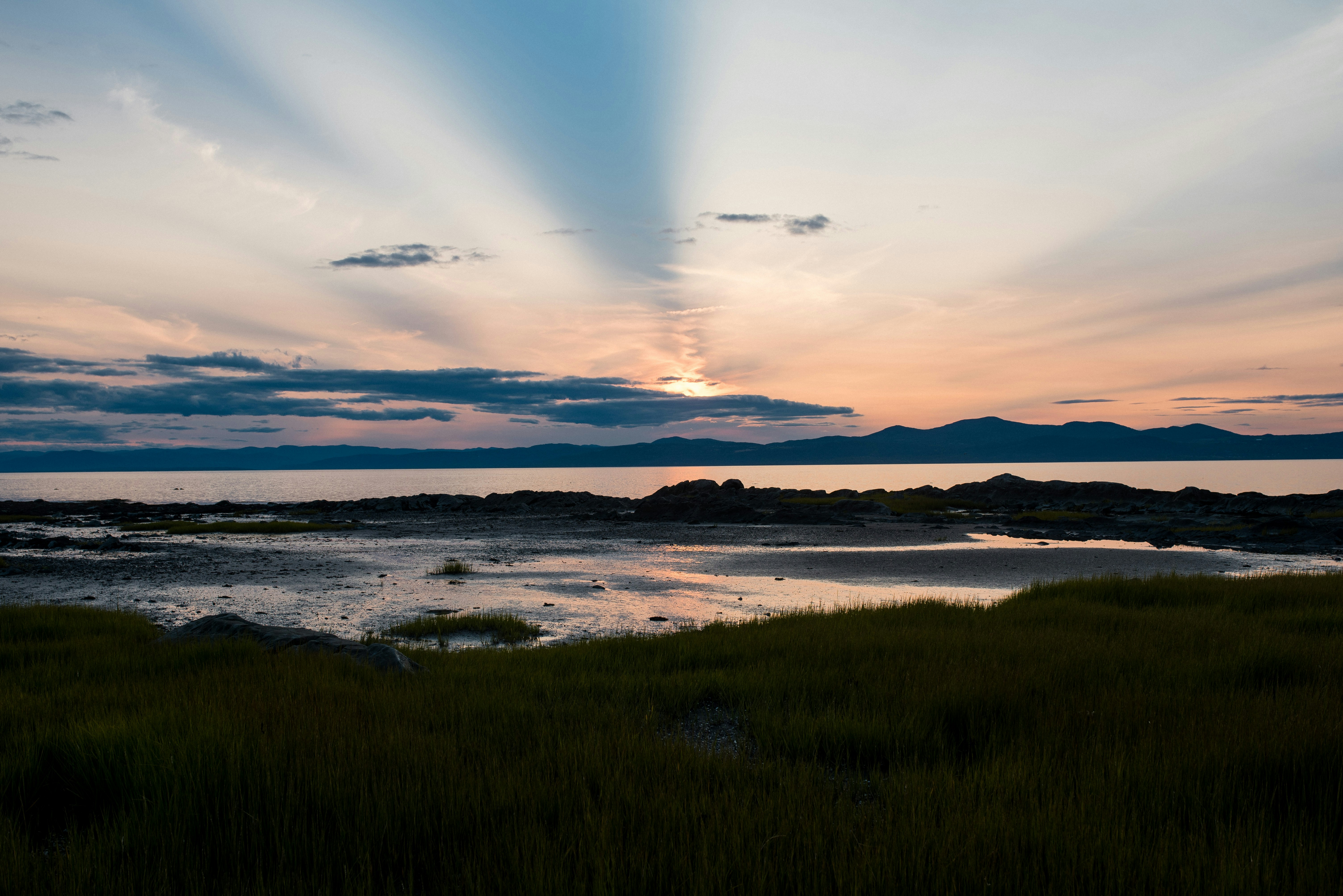 Sunset Veins Over a Quiet Marsh Shore