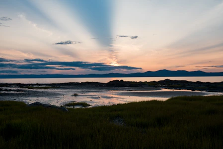 Sunset Veins Over a Quiet Marsh Shore