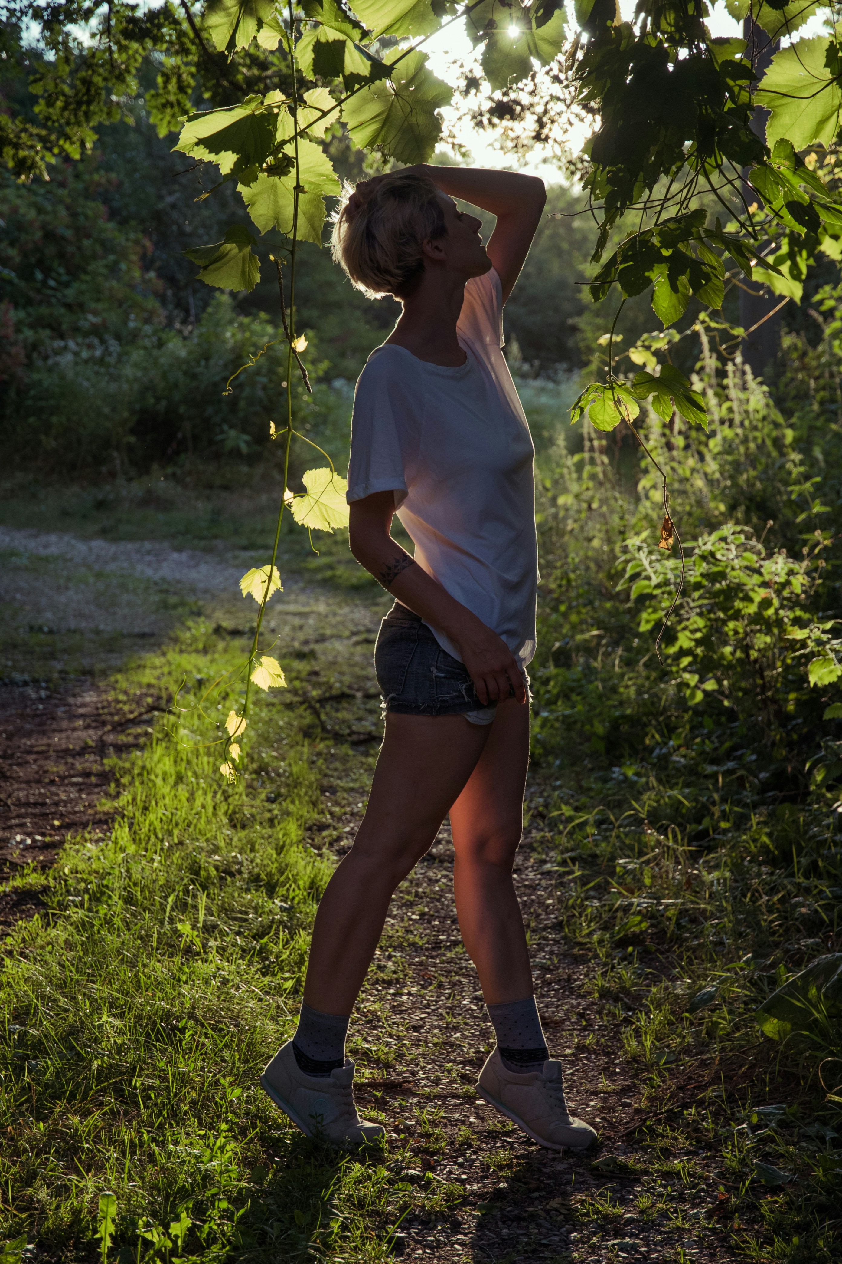Haloed Silhouette on a Leafy Path
