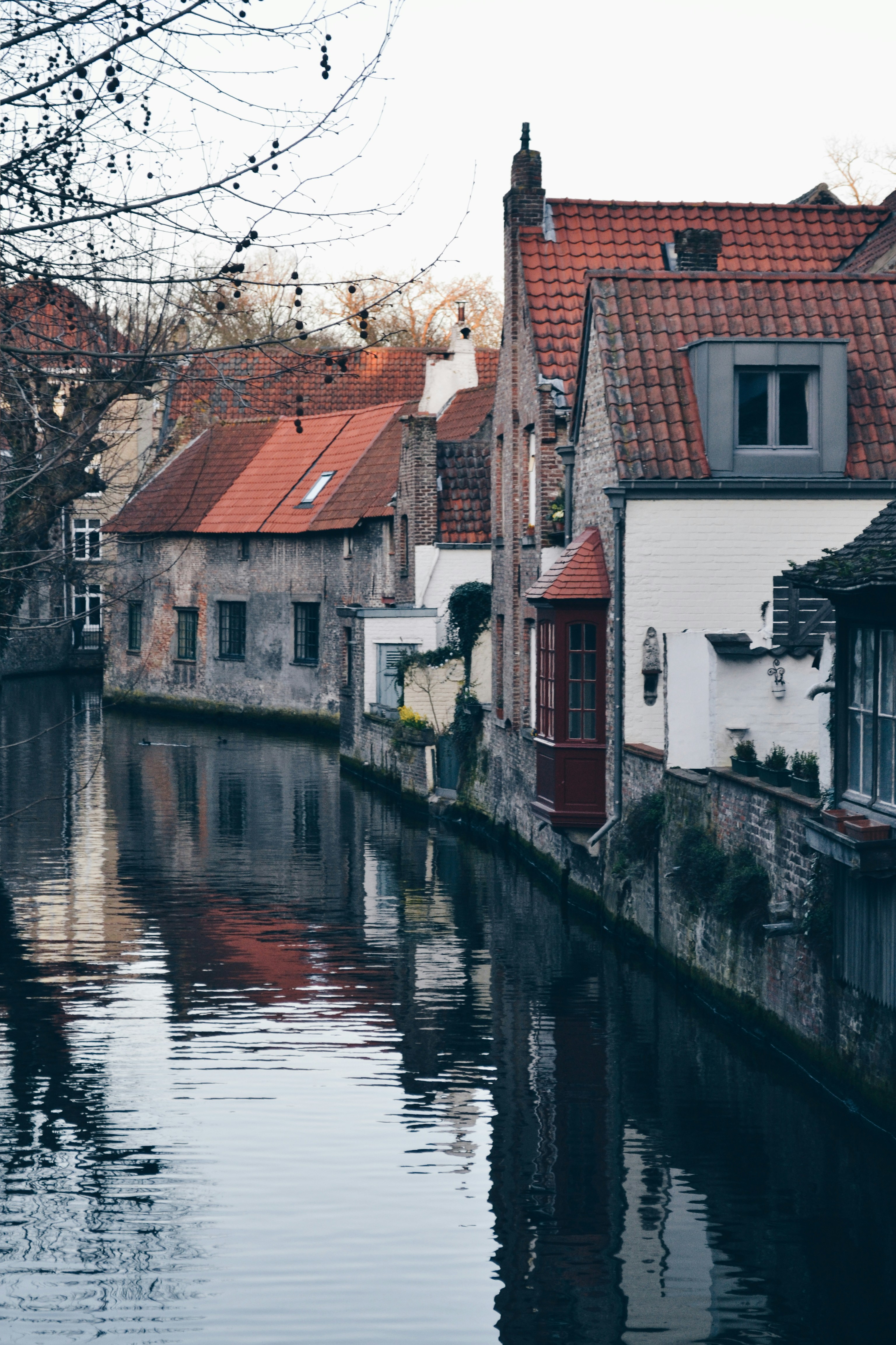 Charming canal-side houses with red roofs reflect in the serene waters of Bruges, capturing the essence of historic architecture.