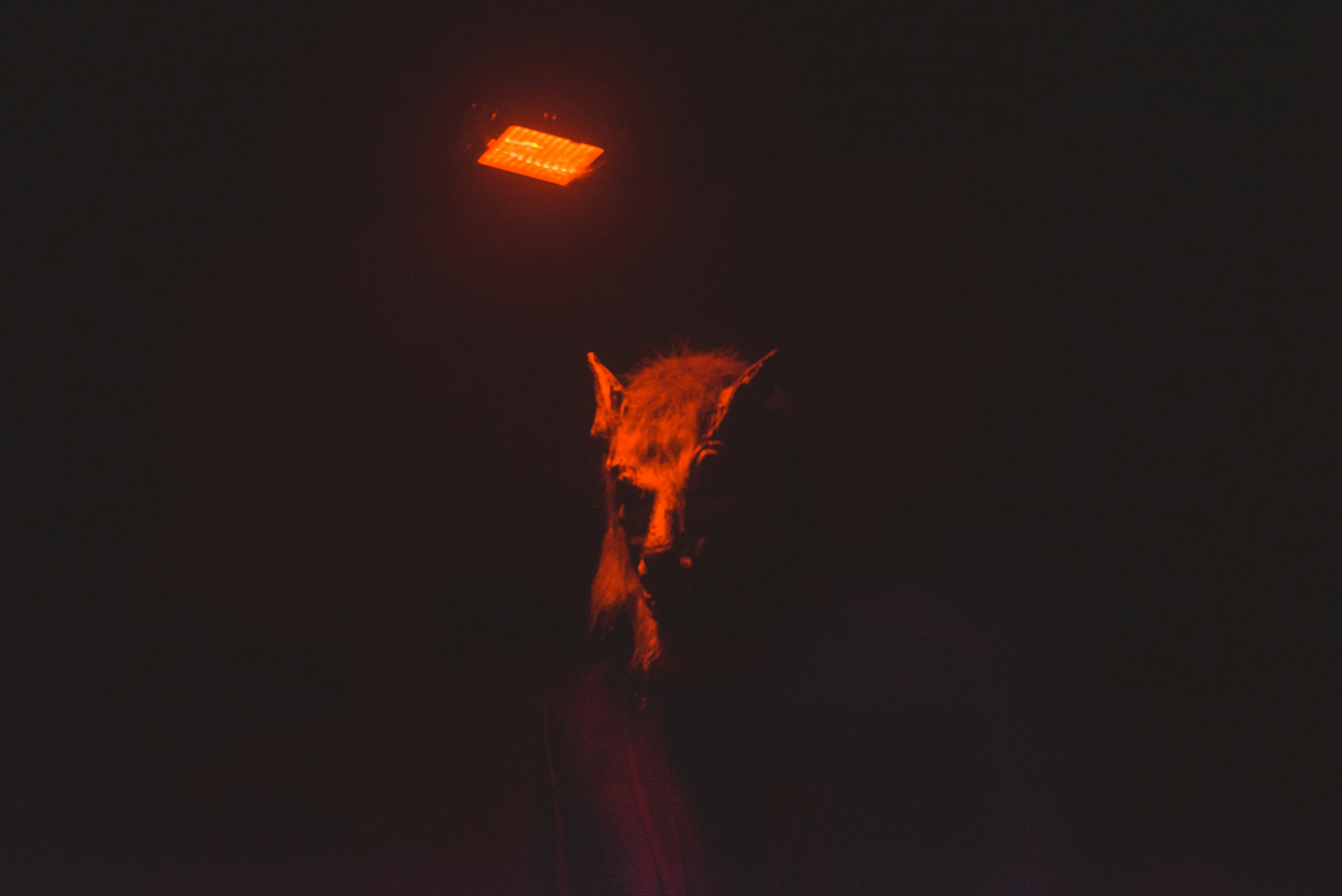 person wearing mask inside dimmed lighted room