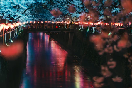 Neon Canopy Over the Canal: Reflections Under Lantern Light