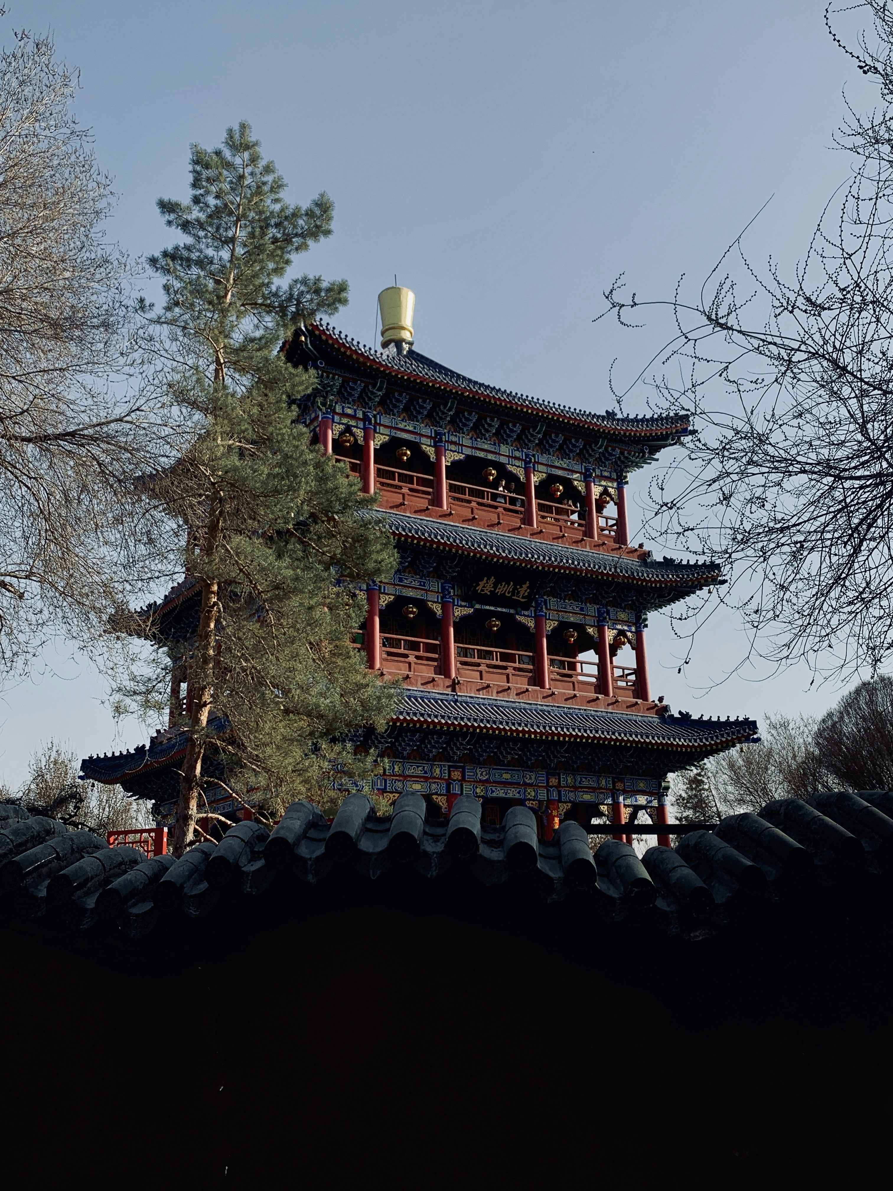 A traditional pagoda framed by tall trees, showcasing intricate designs and vibrant colors against a clear sky.