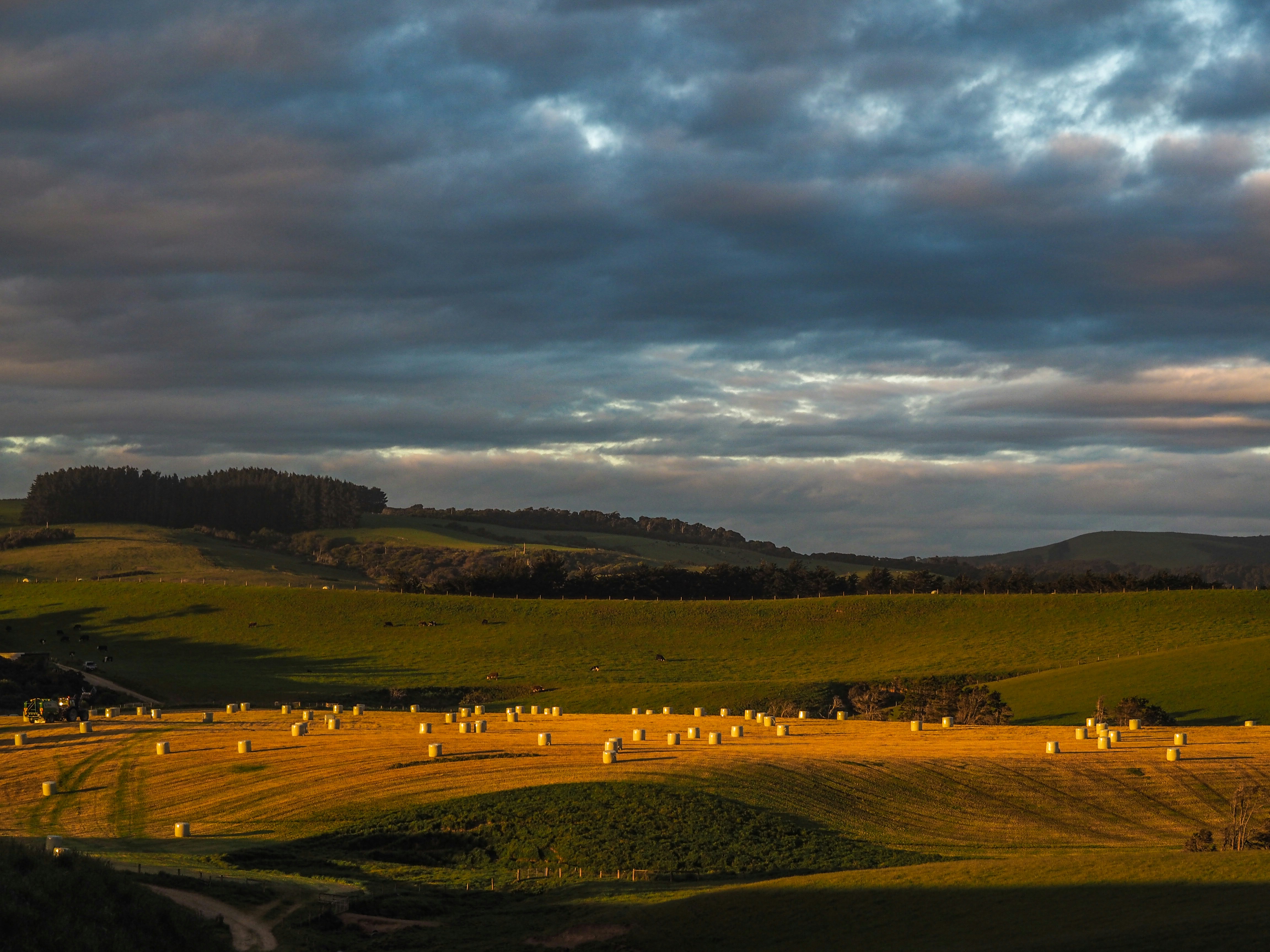 Landscape photography of farm under nimbus clouds photo – Free Field ...