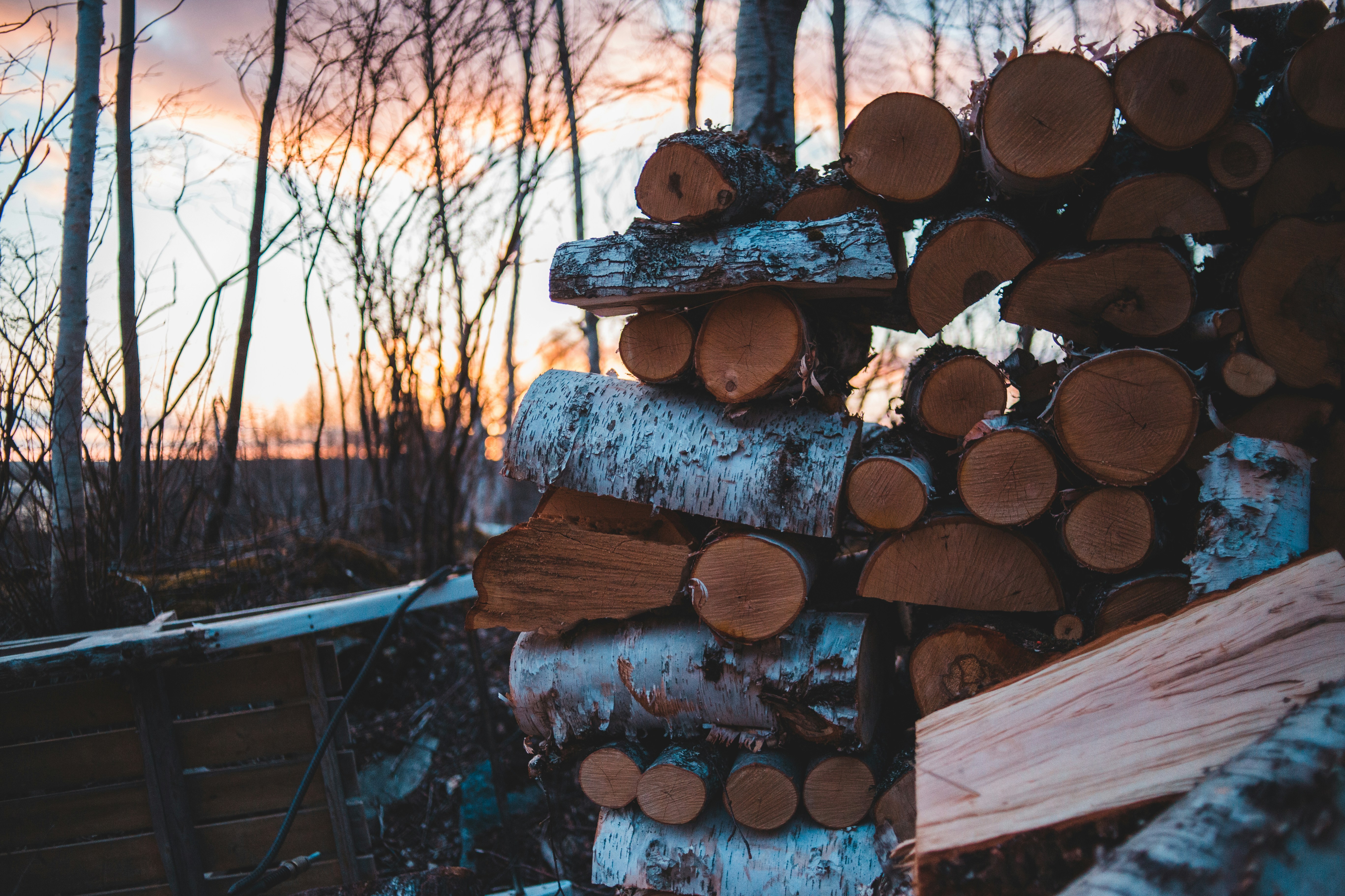 firewood cord