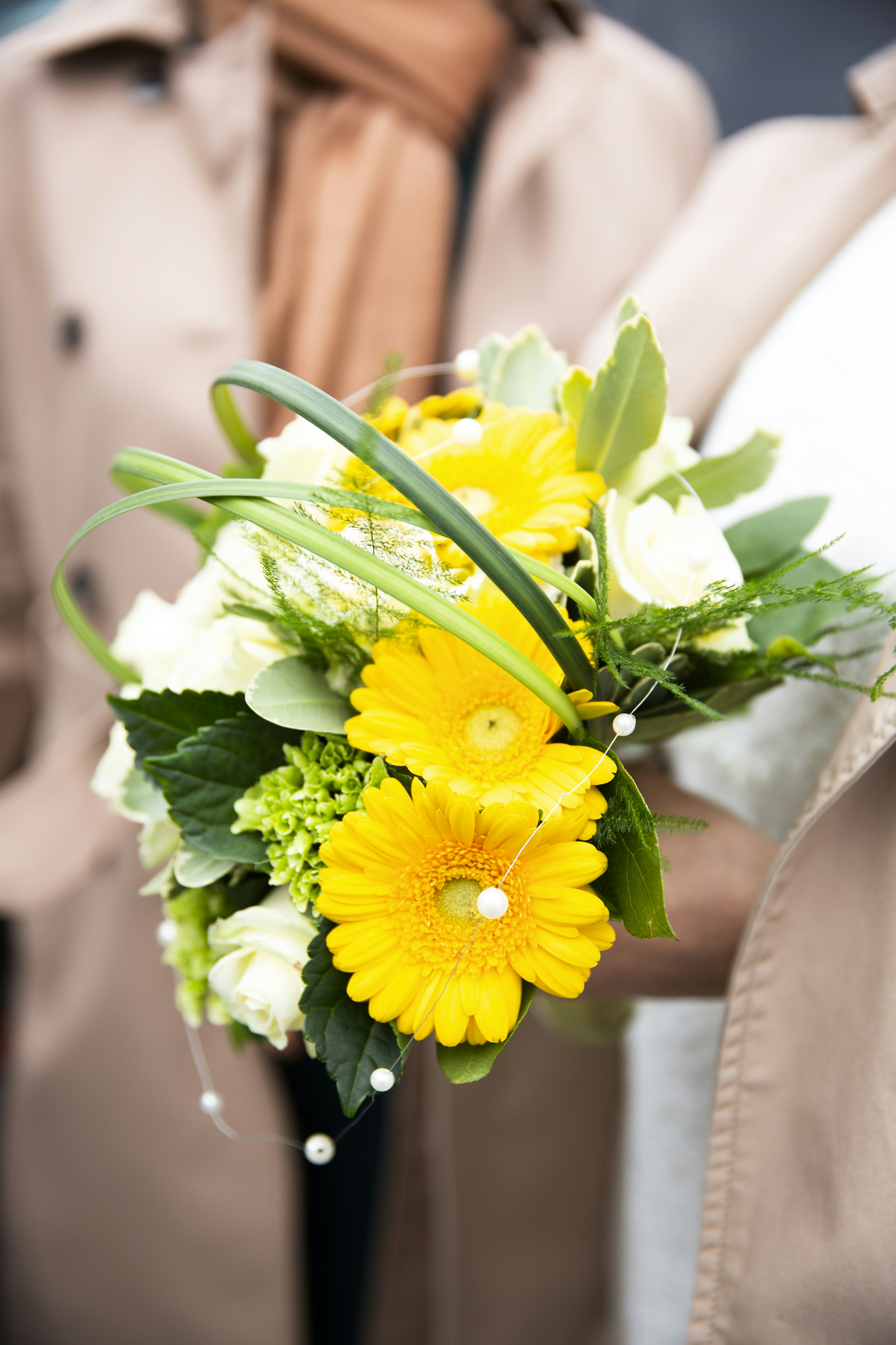 Golden Gerberas in a Quiet Moment Against Neutral Coats