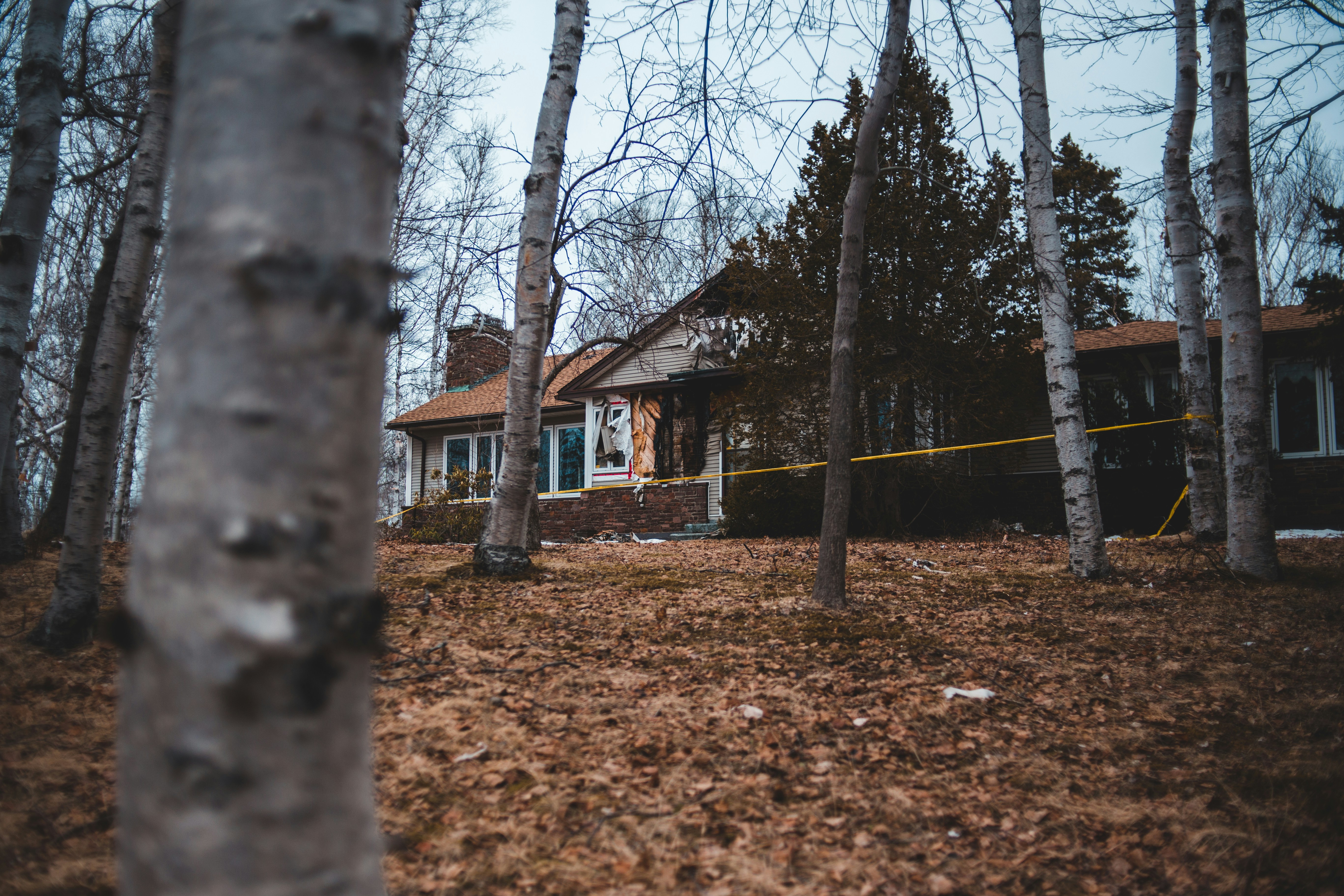 Caution Tape and Silent Pines: A Suburban Scene at Dusk