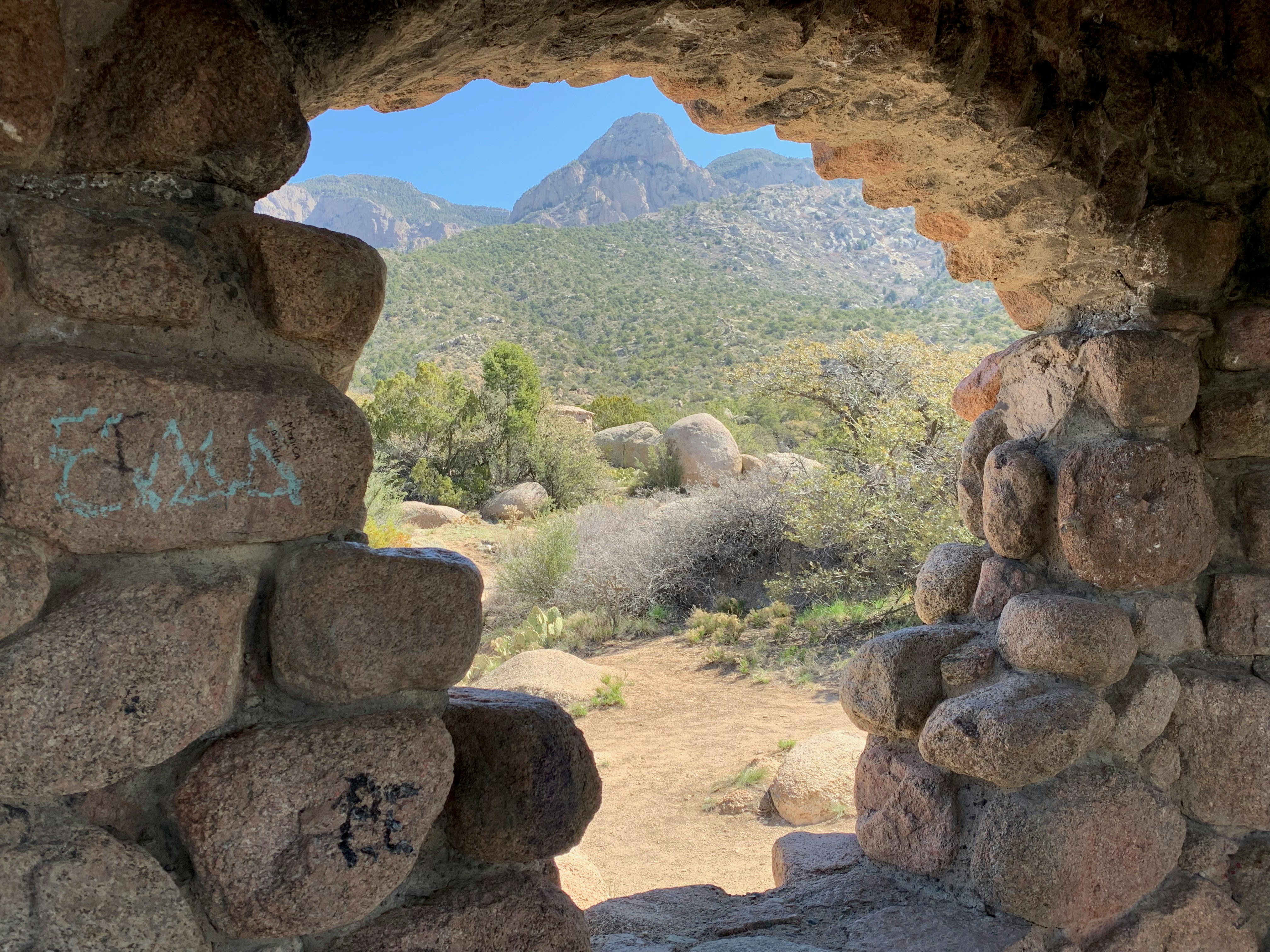A room with a view