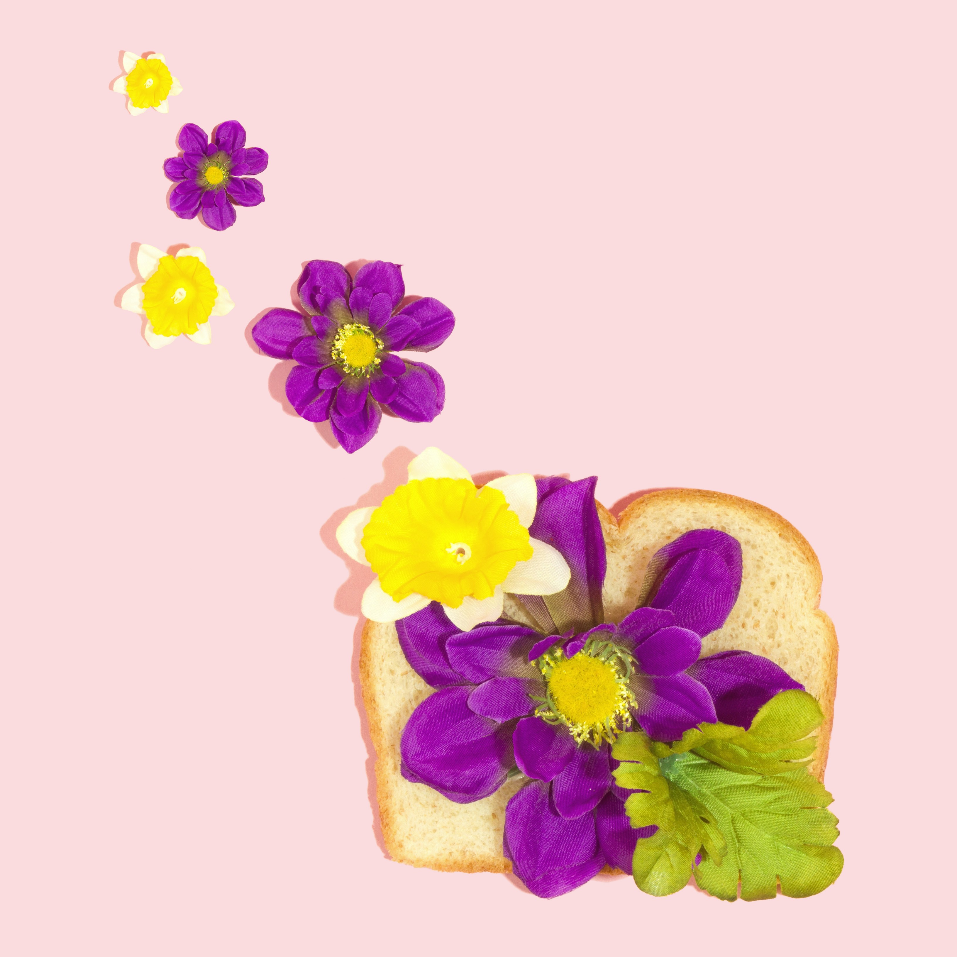 A slice of bread adorned with vibrant purple and yellow flowers, creating a playful and artistic food arrangement.