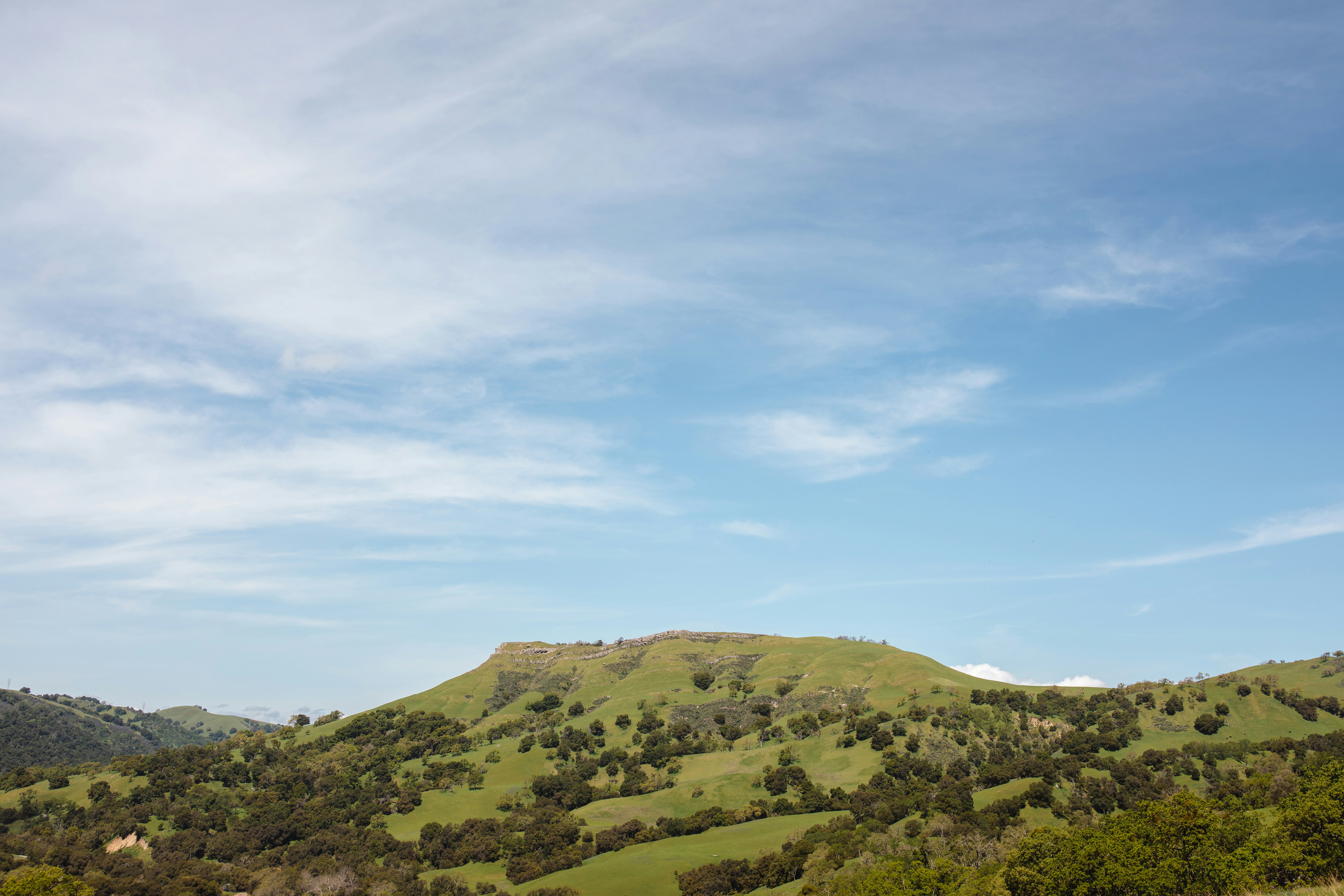 Lush green hills gently rolling under a clear blue sky, showcasing the beauty of nature's tranquility.