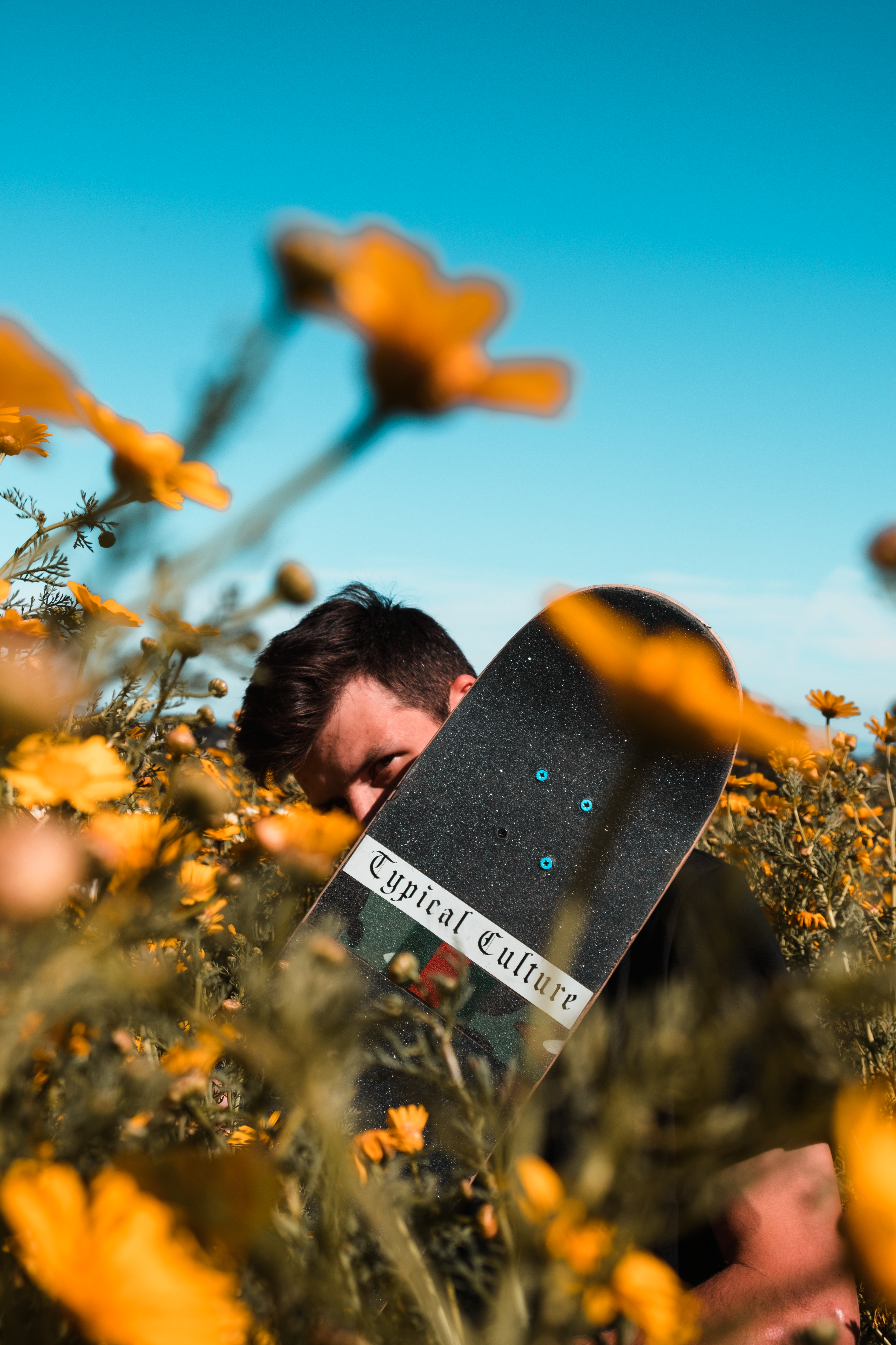 A skateboarder partially hidden behind a skateboard, surrounded by vibrant yellow flowers under a clear blue sky.