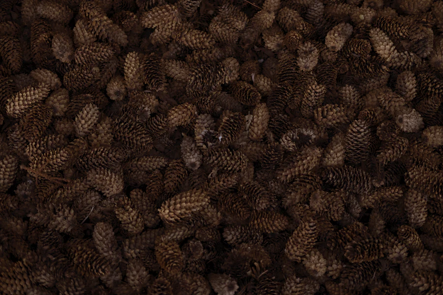 A dense layer of small brown pinecones fills the frame, creating a textured natural pattern. The scene is tightly cropped with no single dominant subject.