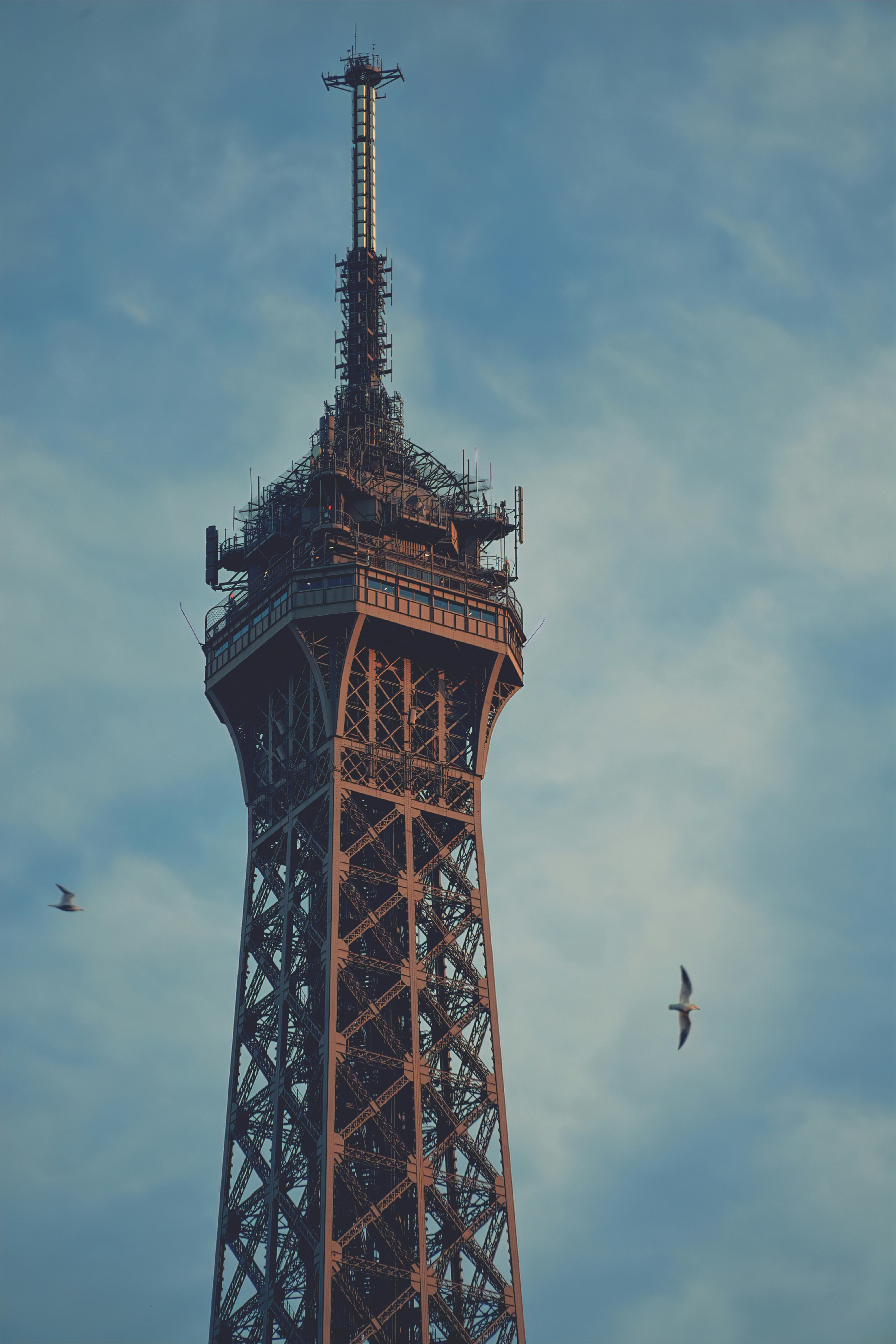 Crown of Iron: Skyward Lattice of a City Tower