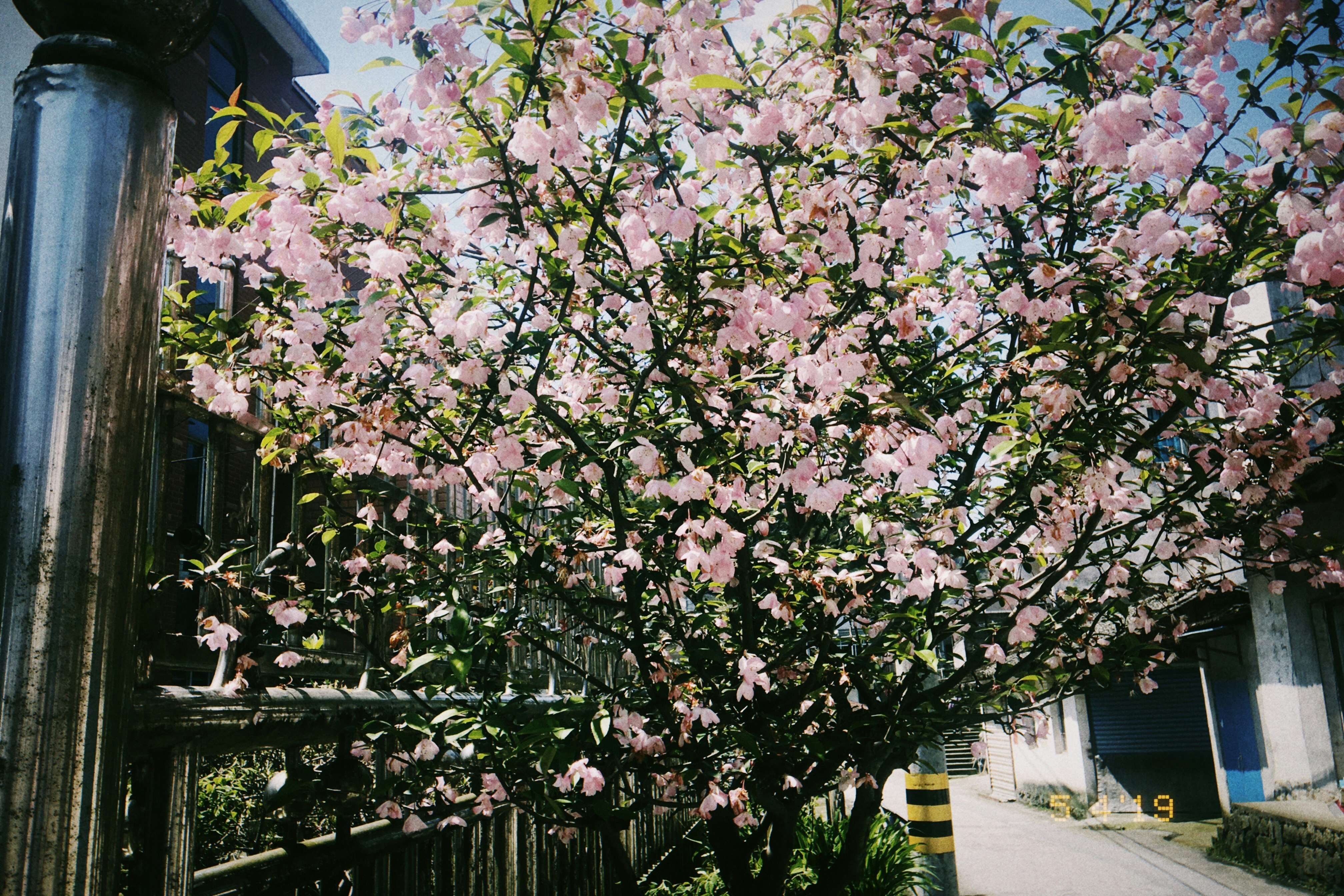 粥 半夏 (@zhoubanxia) | Komunitas Foto Unsplash