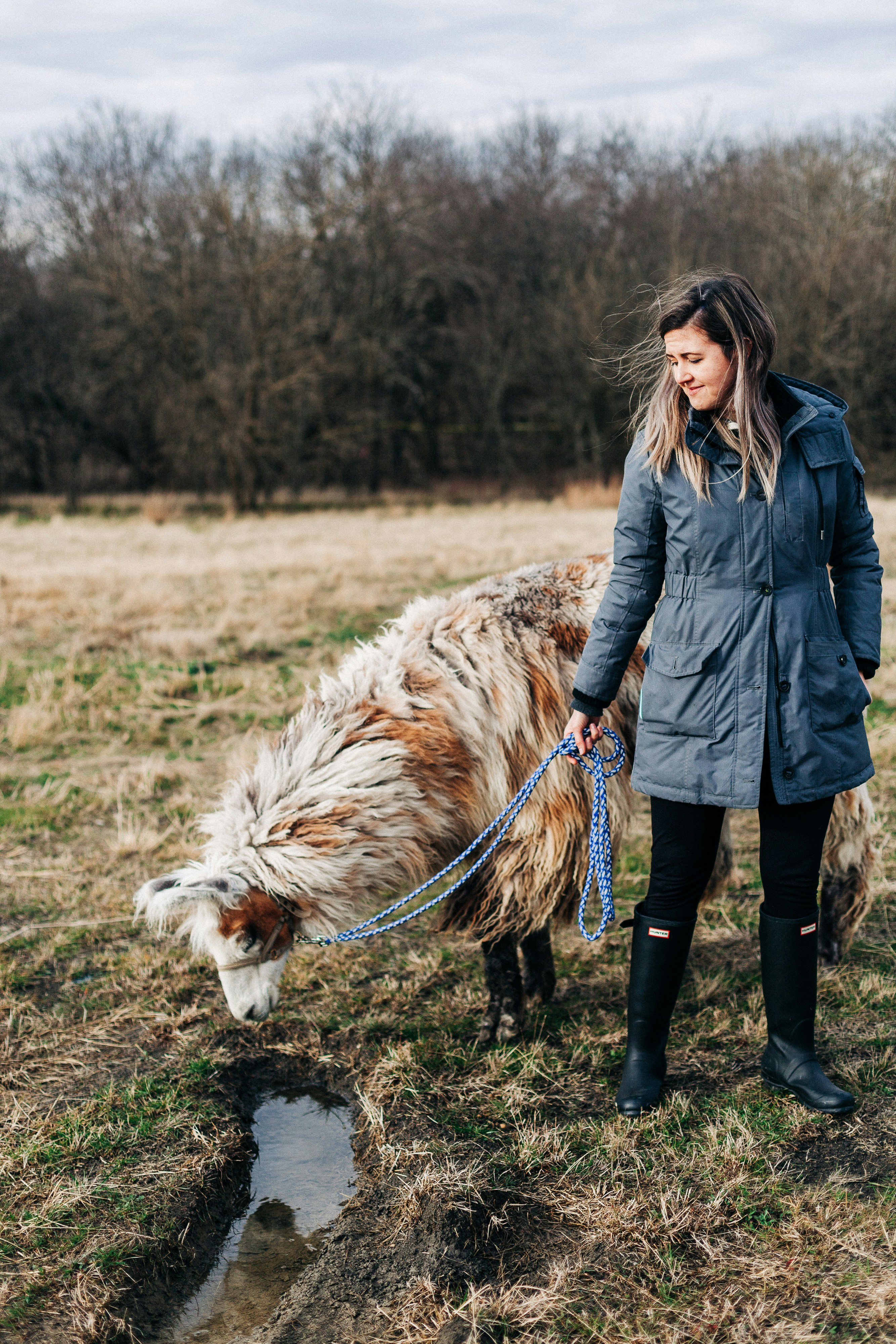Wind-Touched Moment: A Woman and a Shaggy Companion in a Quiet Field