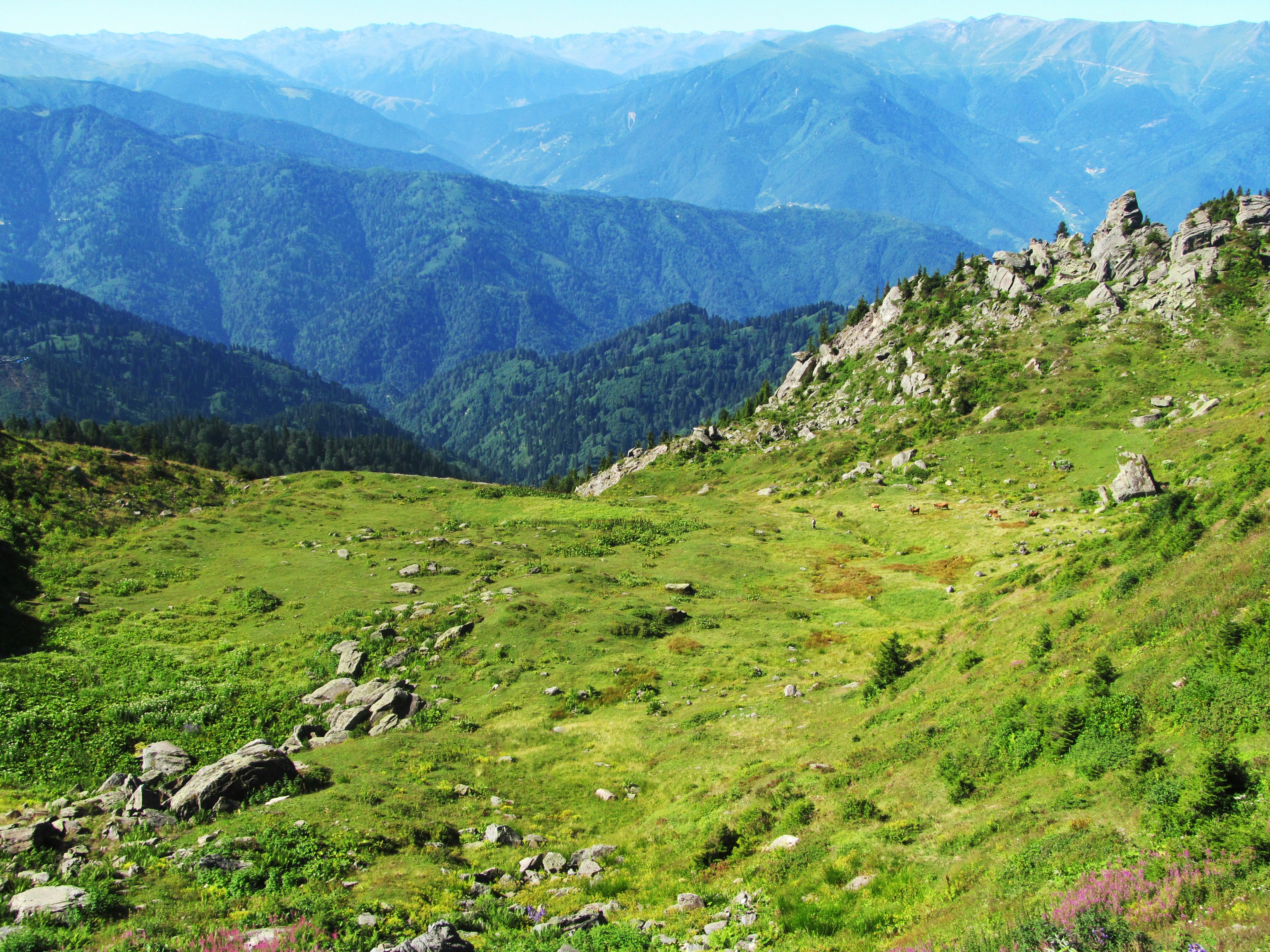 Lush green valley framed by rugged mountains under a clear blue sky. The scene captures the tranquil beauty of nature.