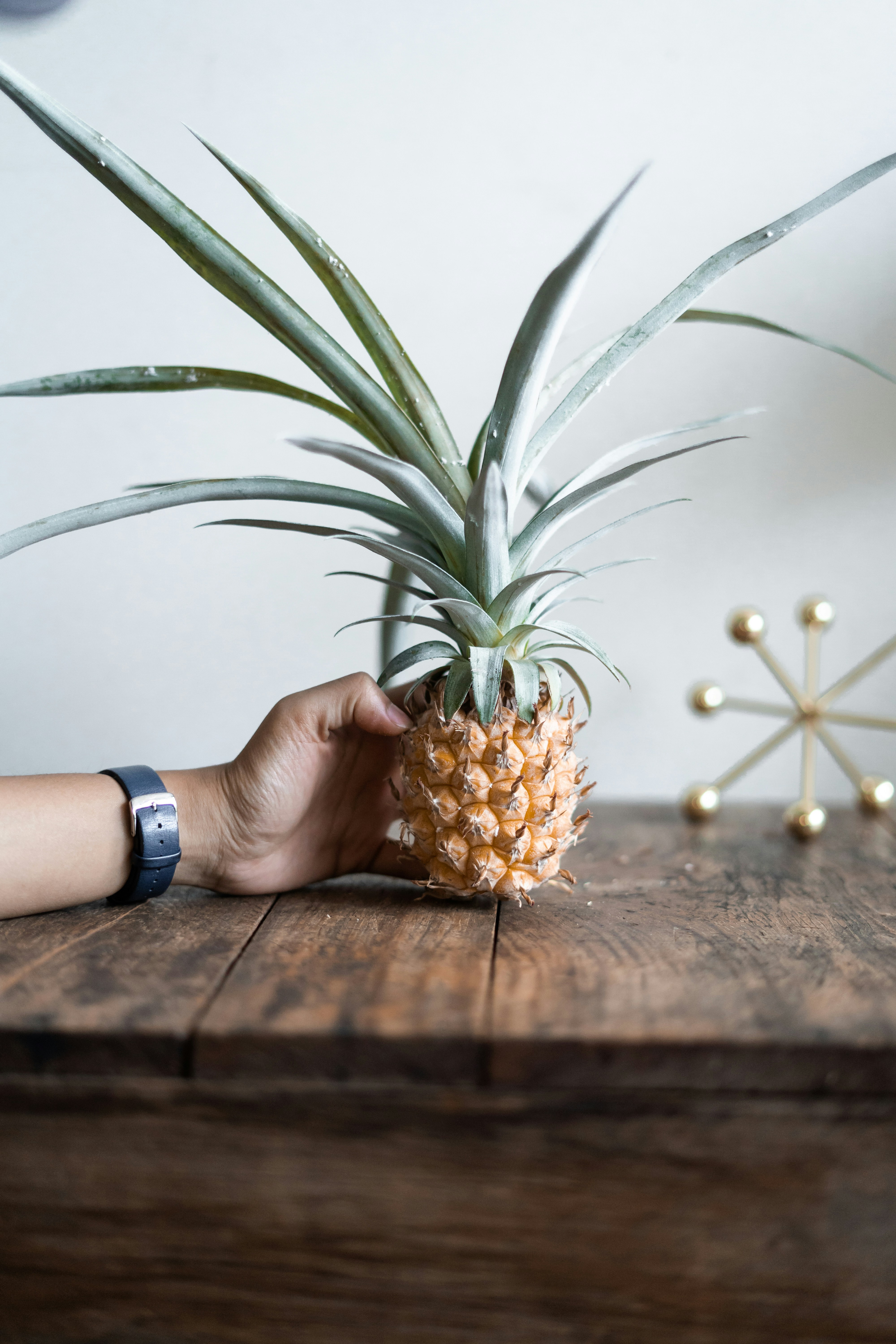 Hand-Held Pineapple on a Weathered Table in a Minimal Studio Setting