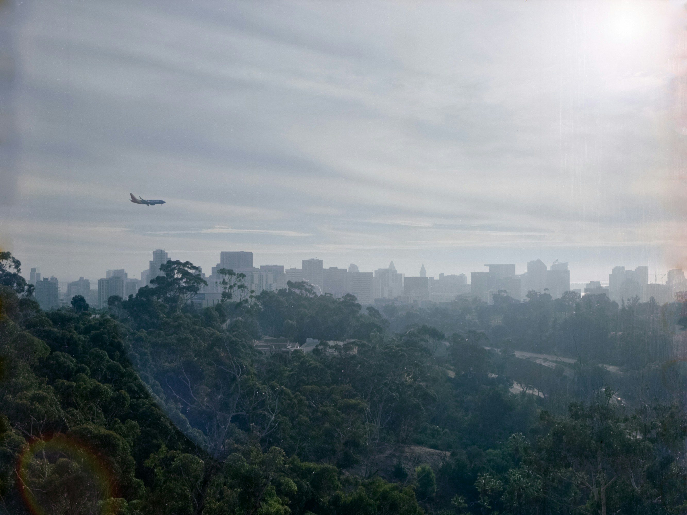 Softly lit city skyline rises above a lush treeline, with a distant airplane crossing a hazy sky. A tranquil, wide-angle view emphasizes contrast between natural foreground and urban background.