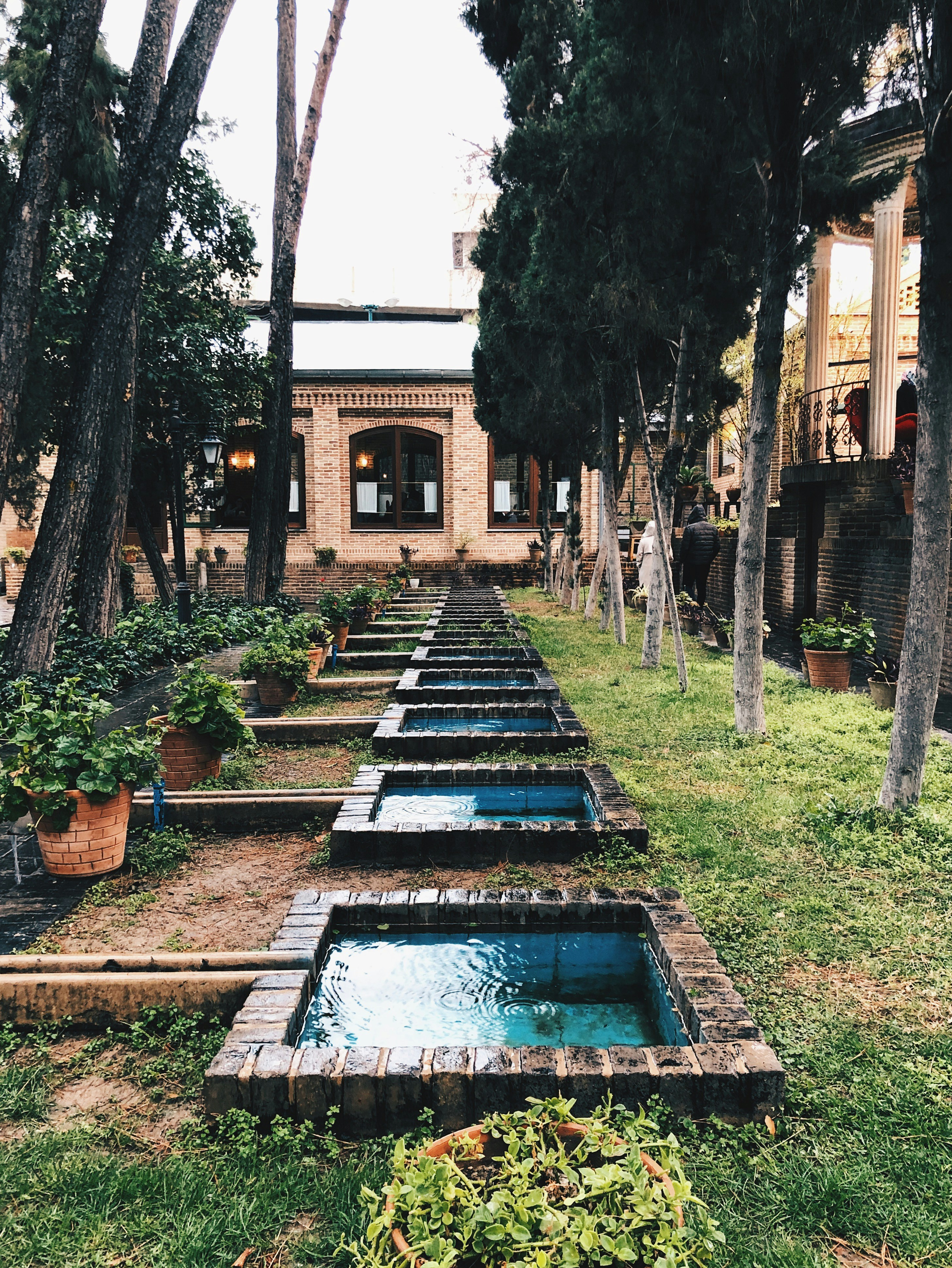 Symmetrical Water Tiles Lead the way through a courtyard grove
