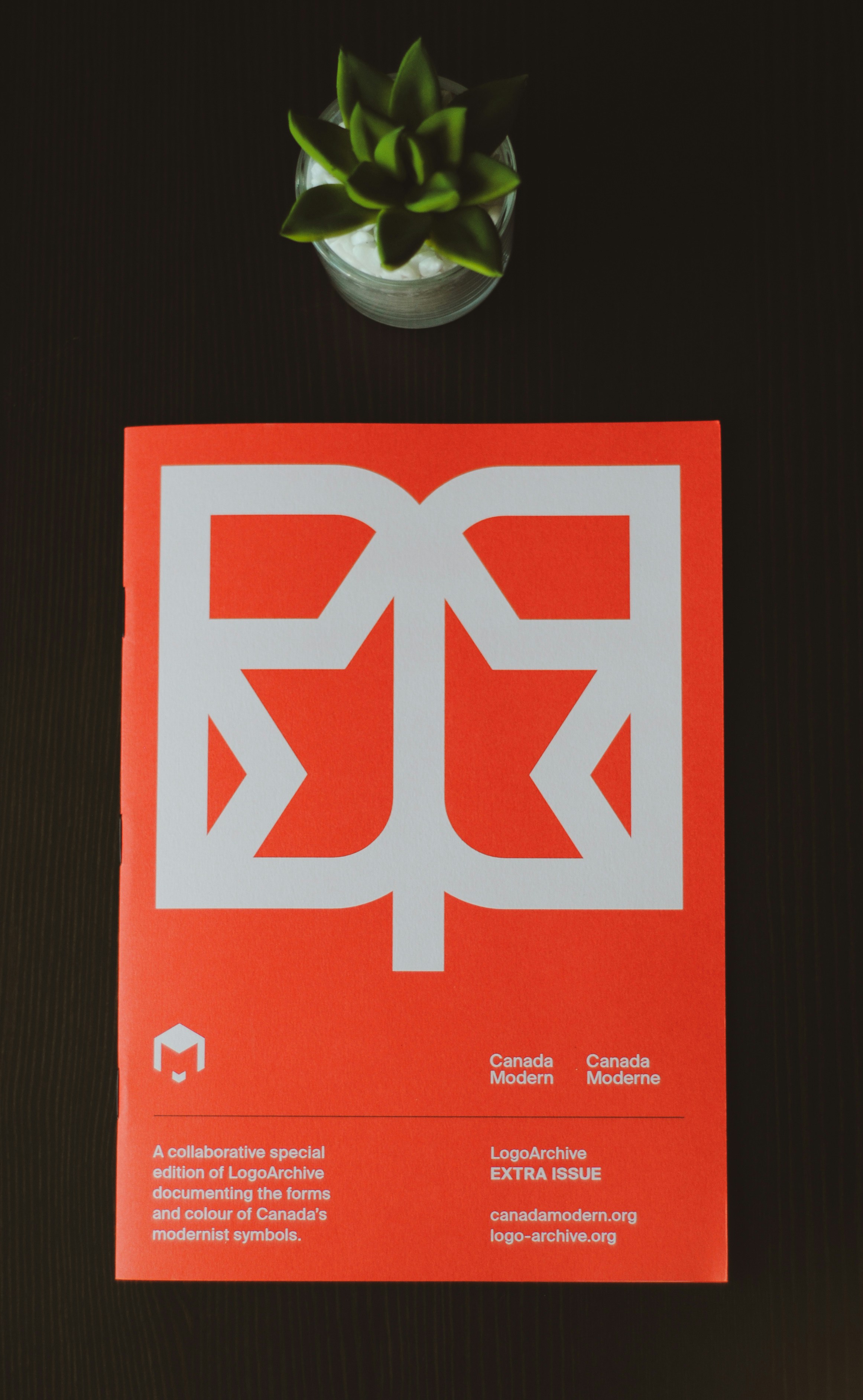 Orange Modernism: A Minimalist Desk Scene with a Succulent