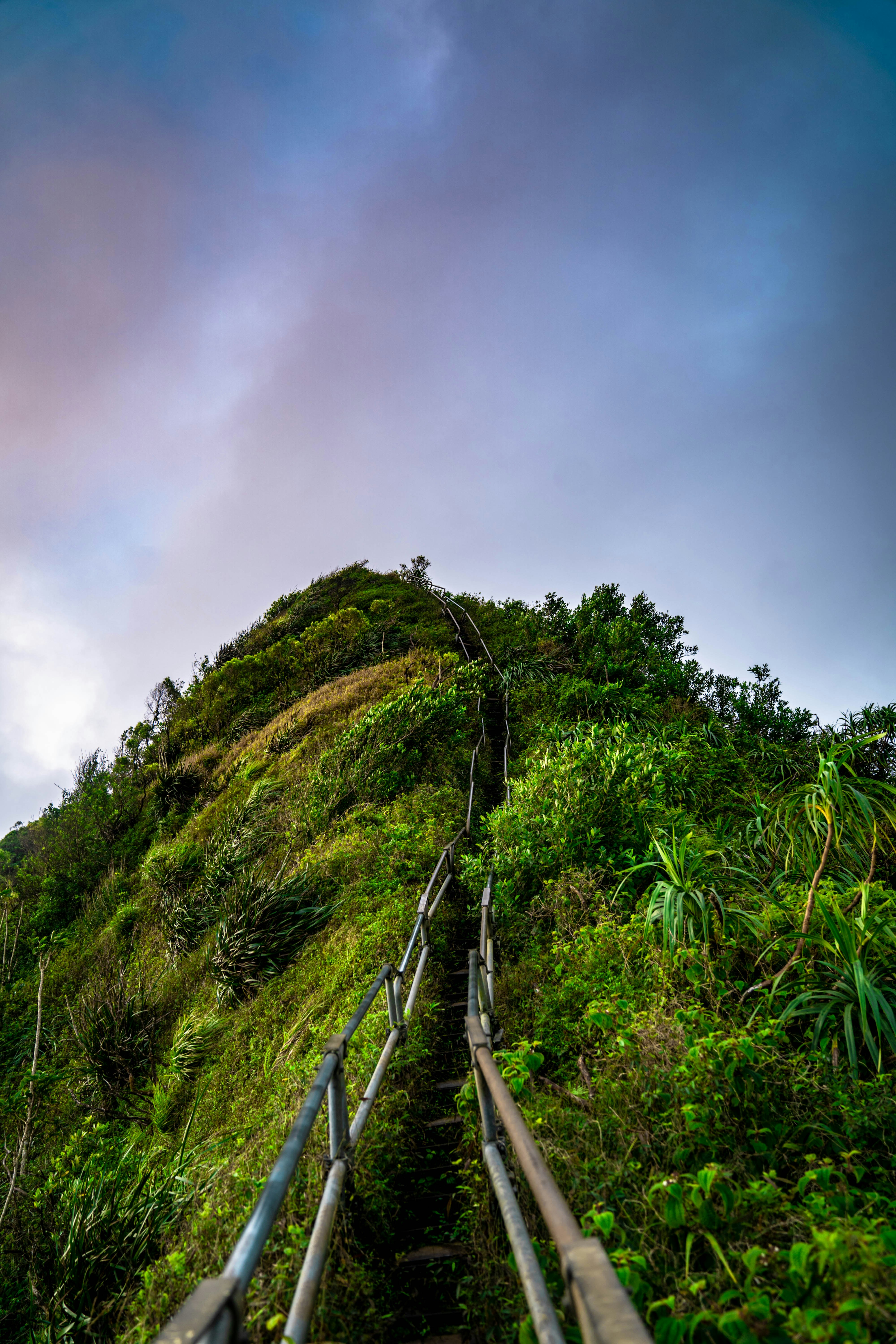 Cliffside Staircase: A Green Ascend to the Sky
