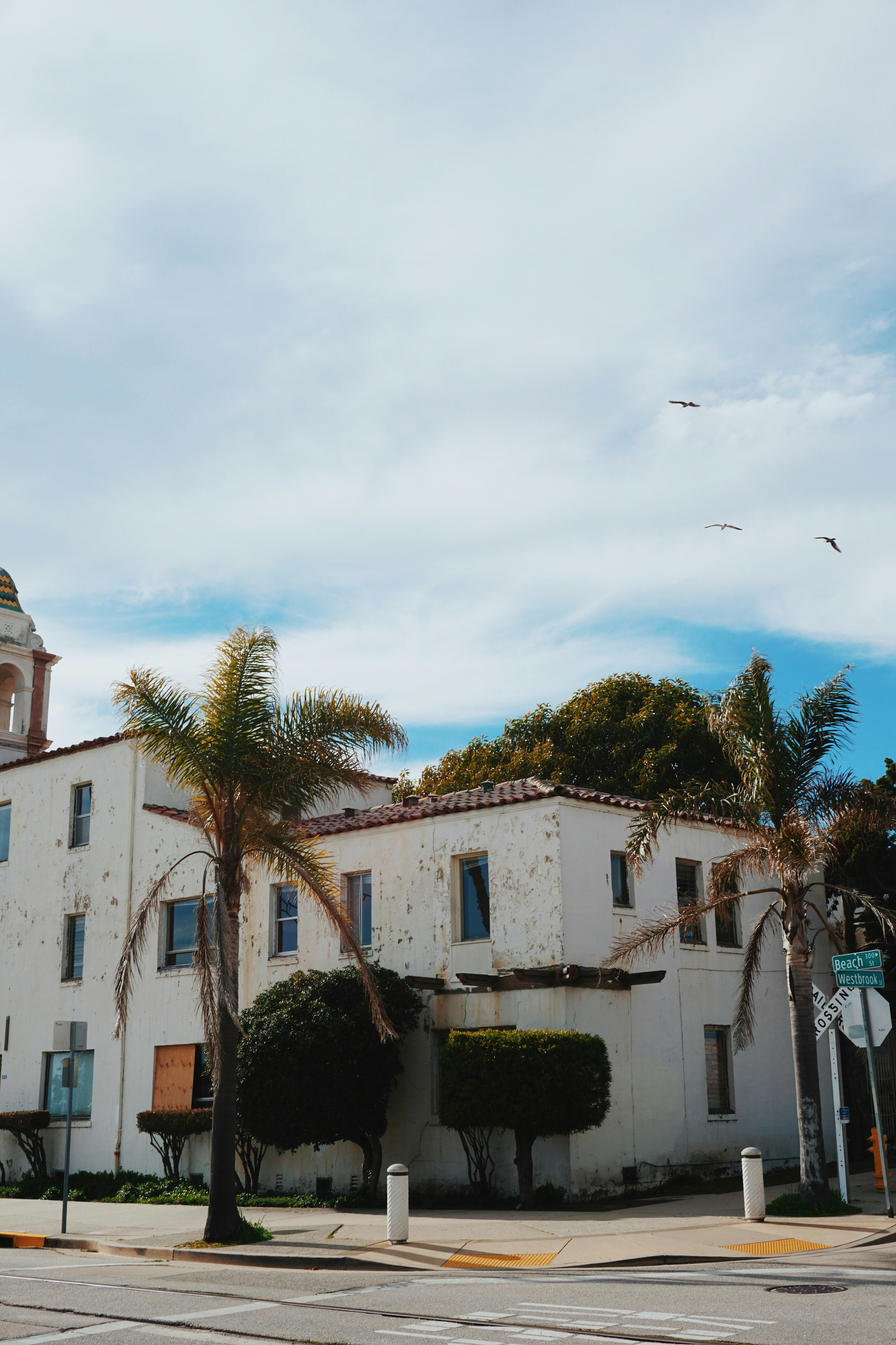 Palm-Crowned Street Scene on a Bright Coastal Day