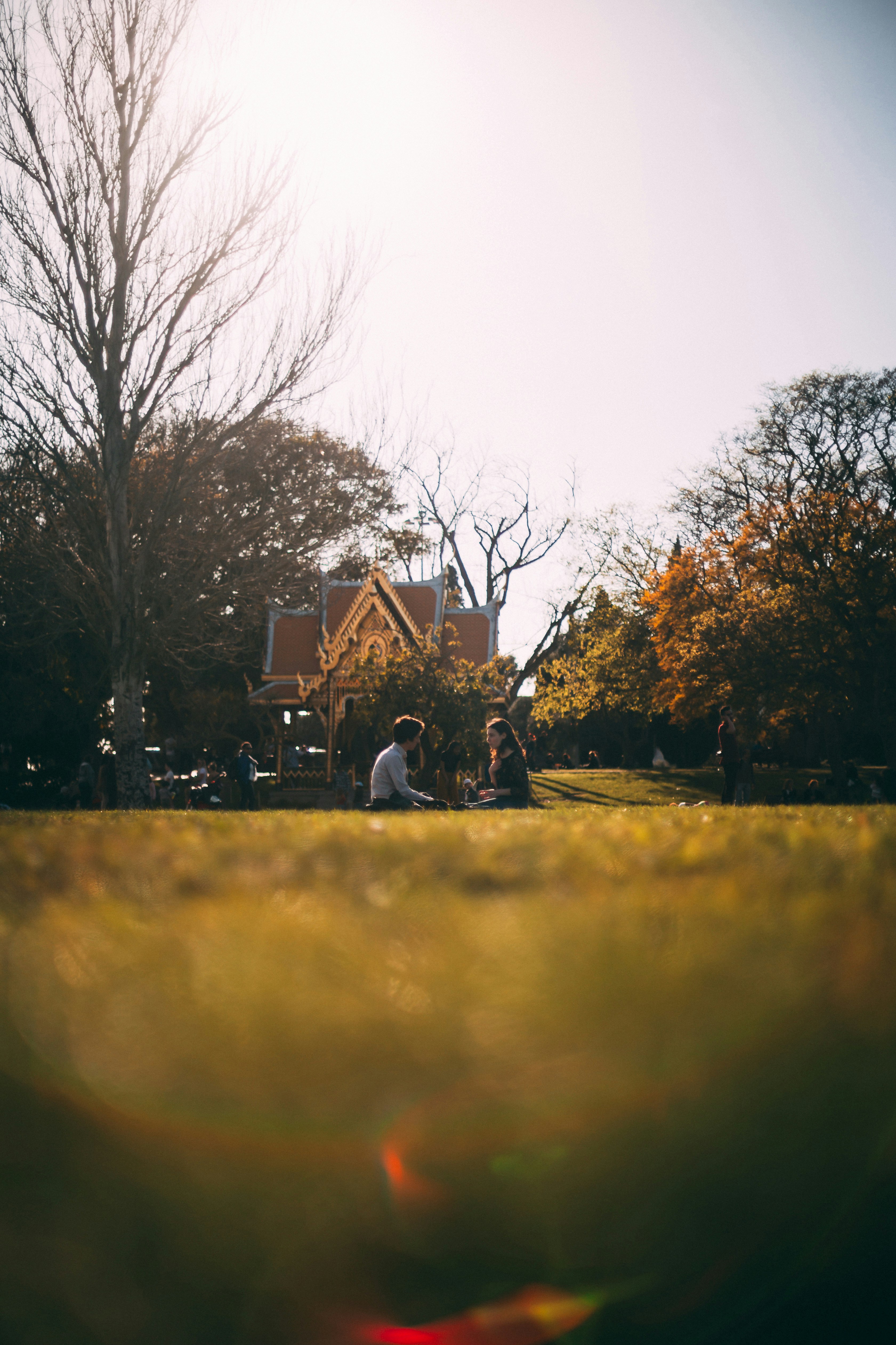 Sunlit Park Moment: Friends Conversing by a Vintage Pavilion