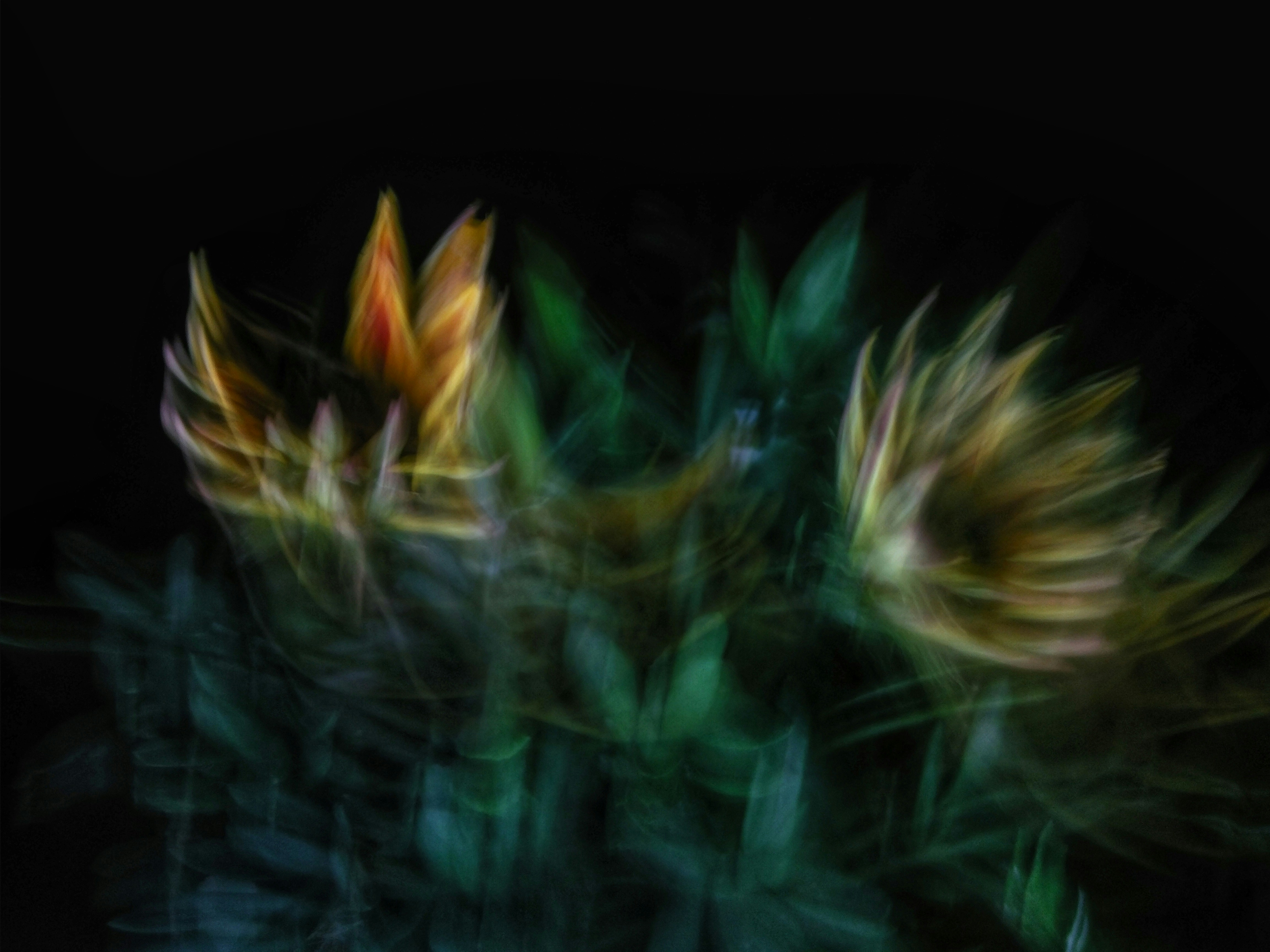 Nocturne of Moving Leaves: Emerald Fragments in the Dark