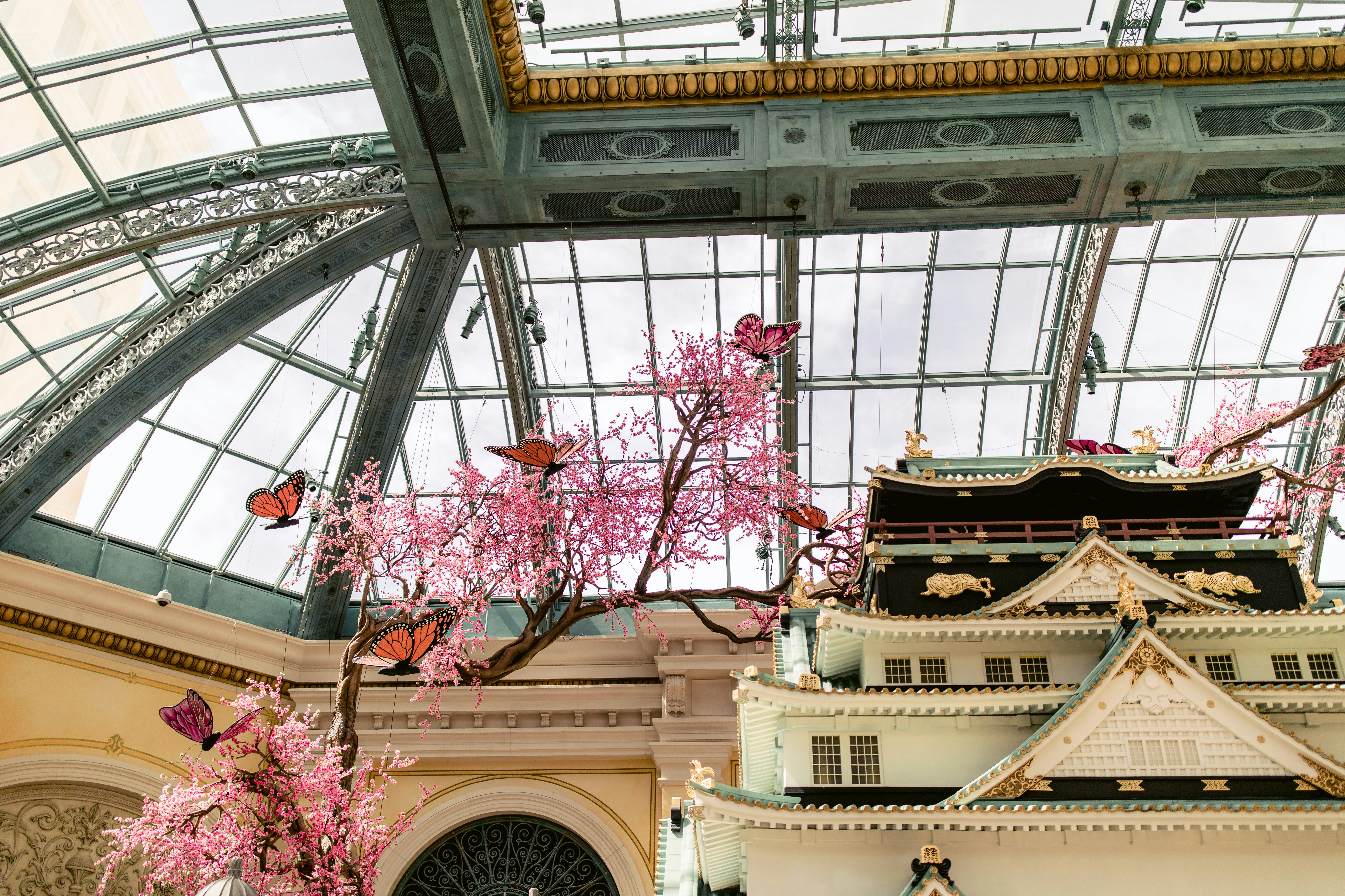 cherry blossom tree