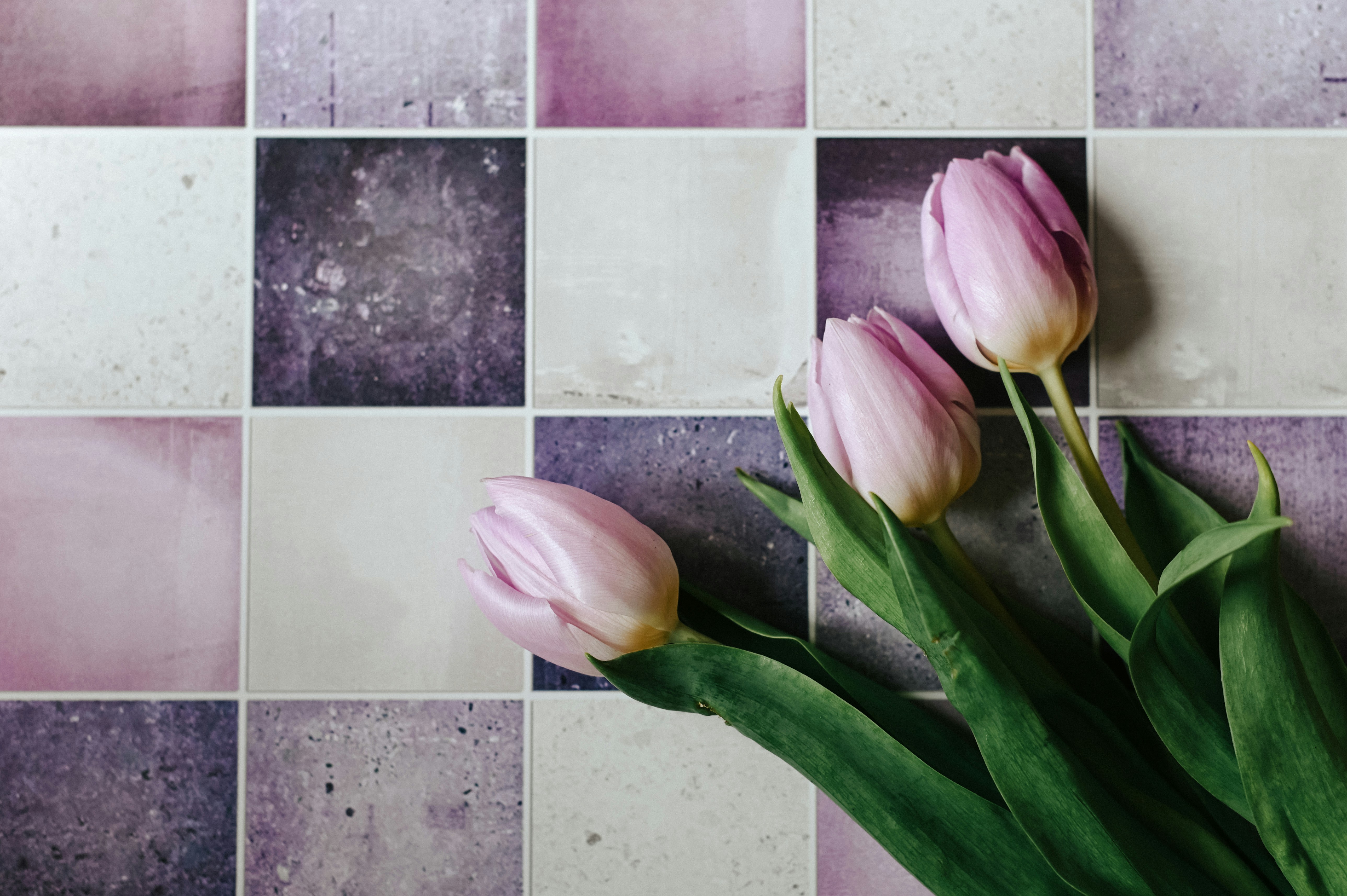 Petals on a Checkered Canvas
