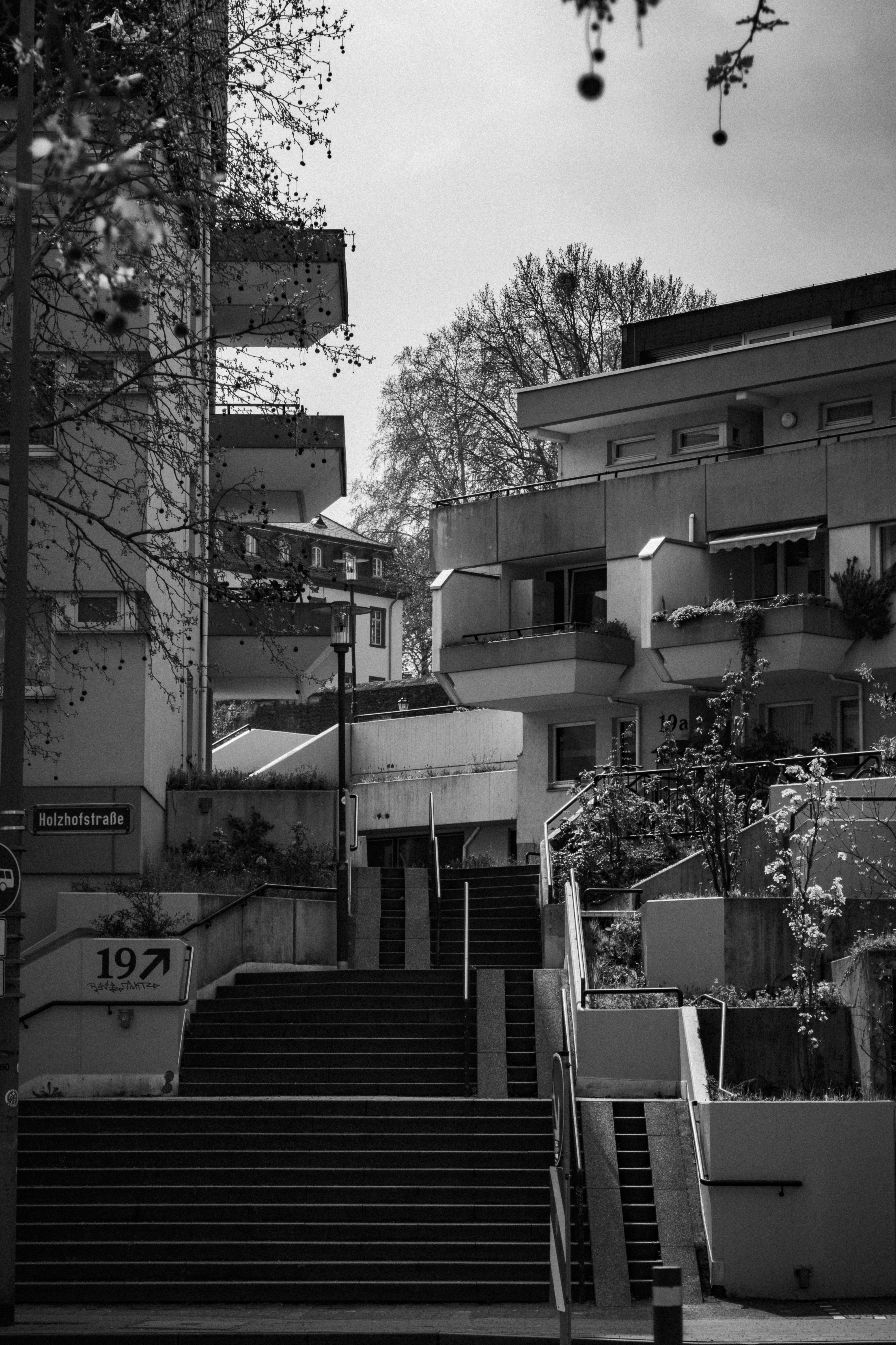 Black and white urban scene featuring a set of stairs leading between residential buildings with trees in the background.
