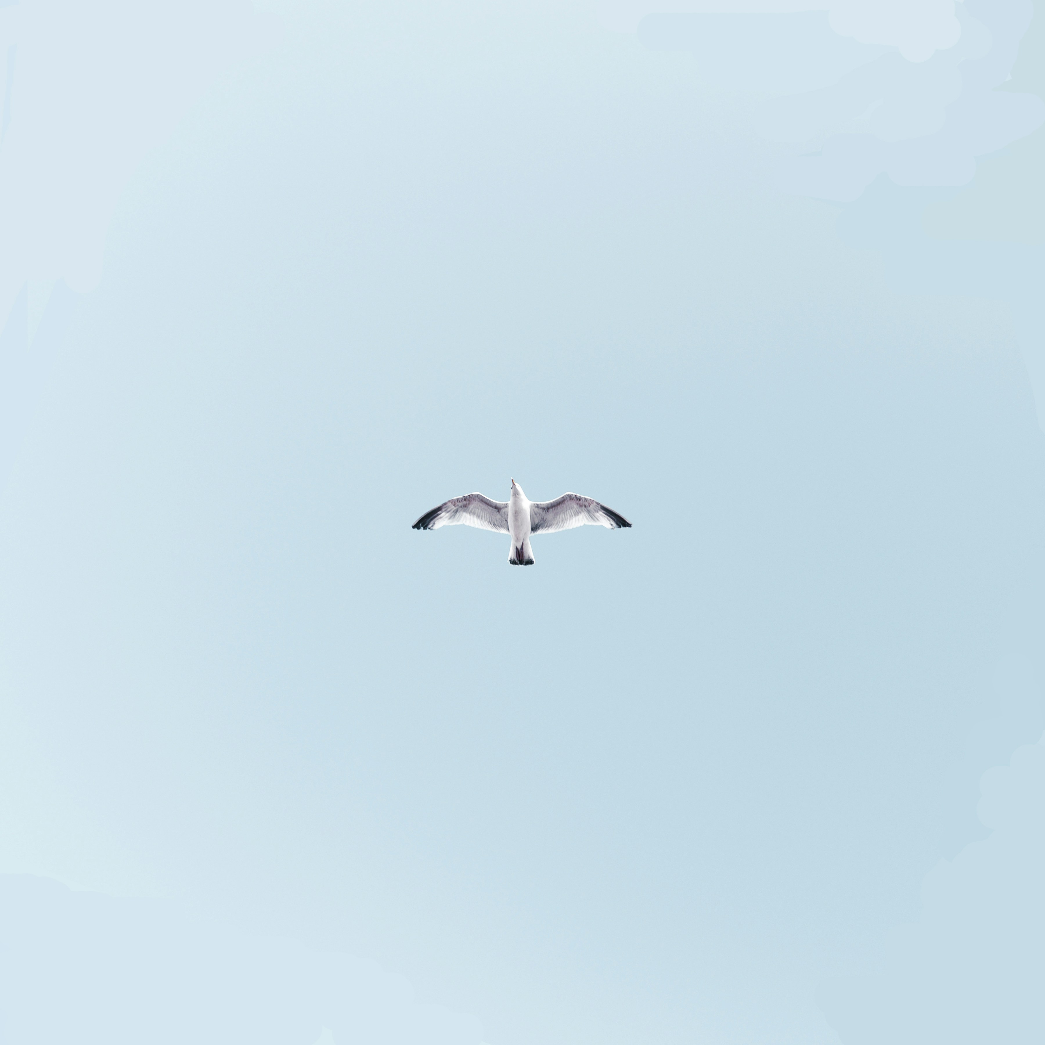 100+ Simplicity Pictures | Download Free Images on Unsplash