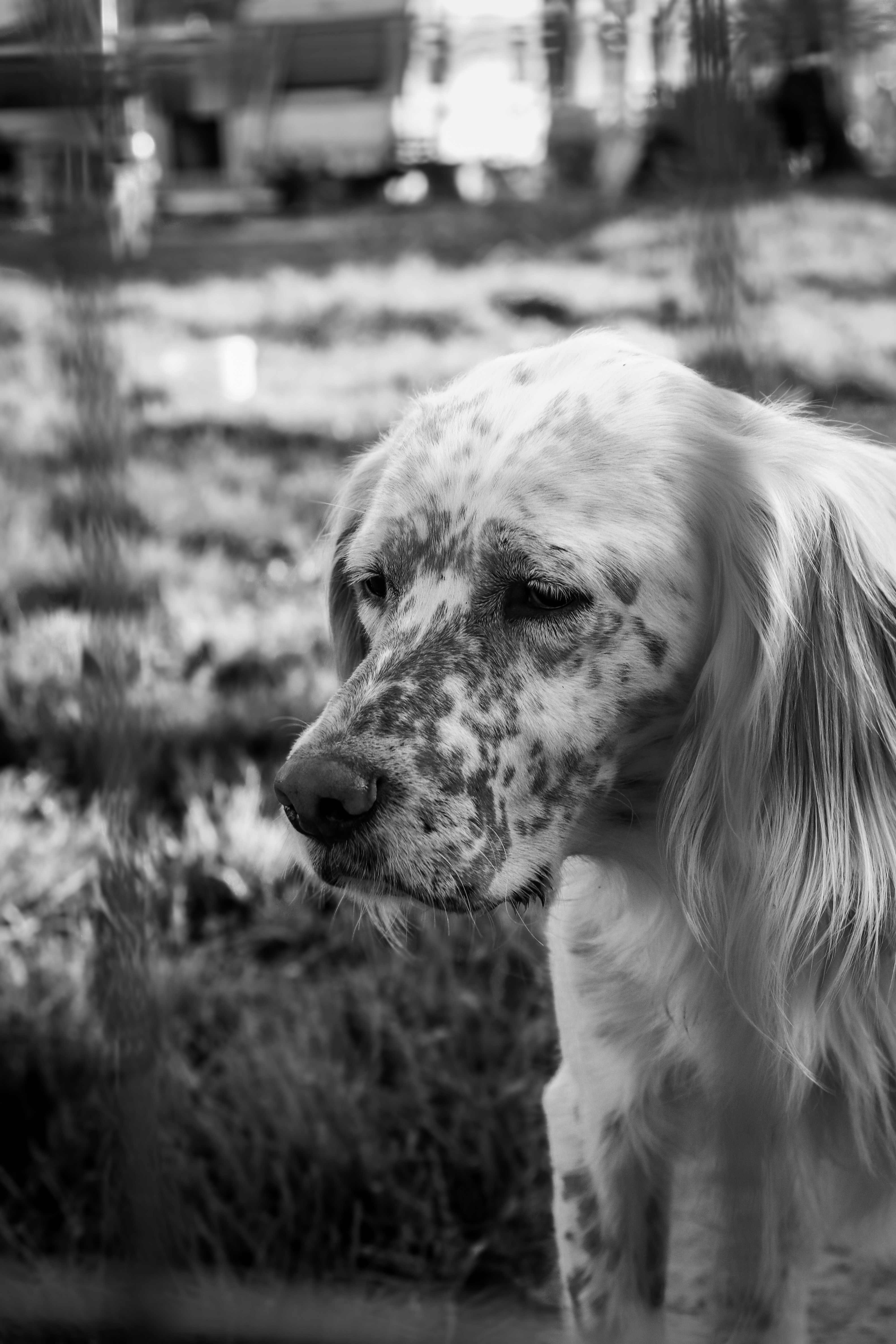 Simon Moog (@simon_moog) | Unsplash Photo Community