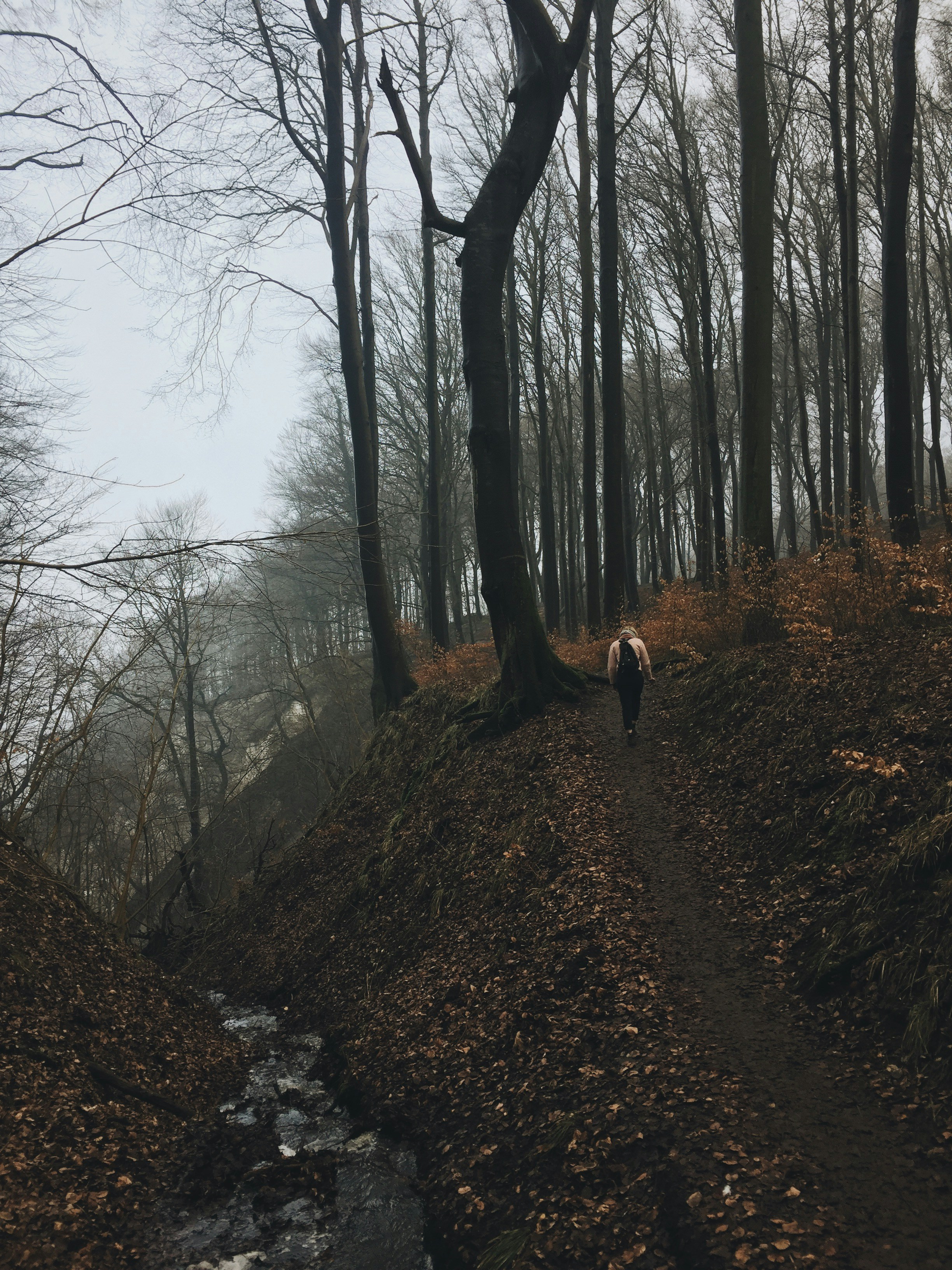 person walking on forest