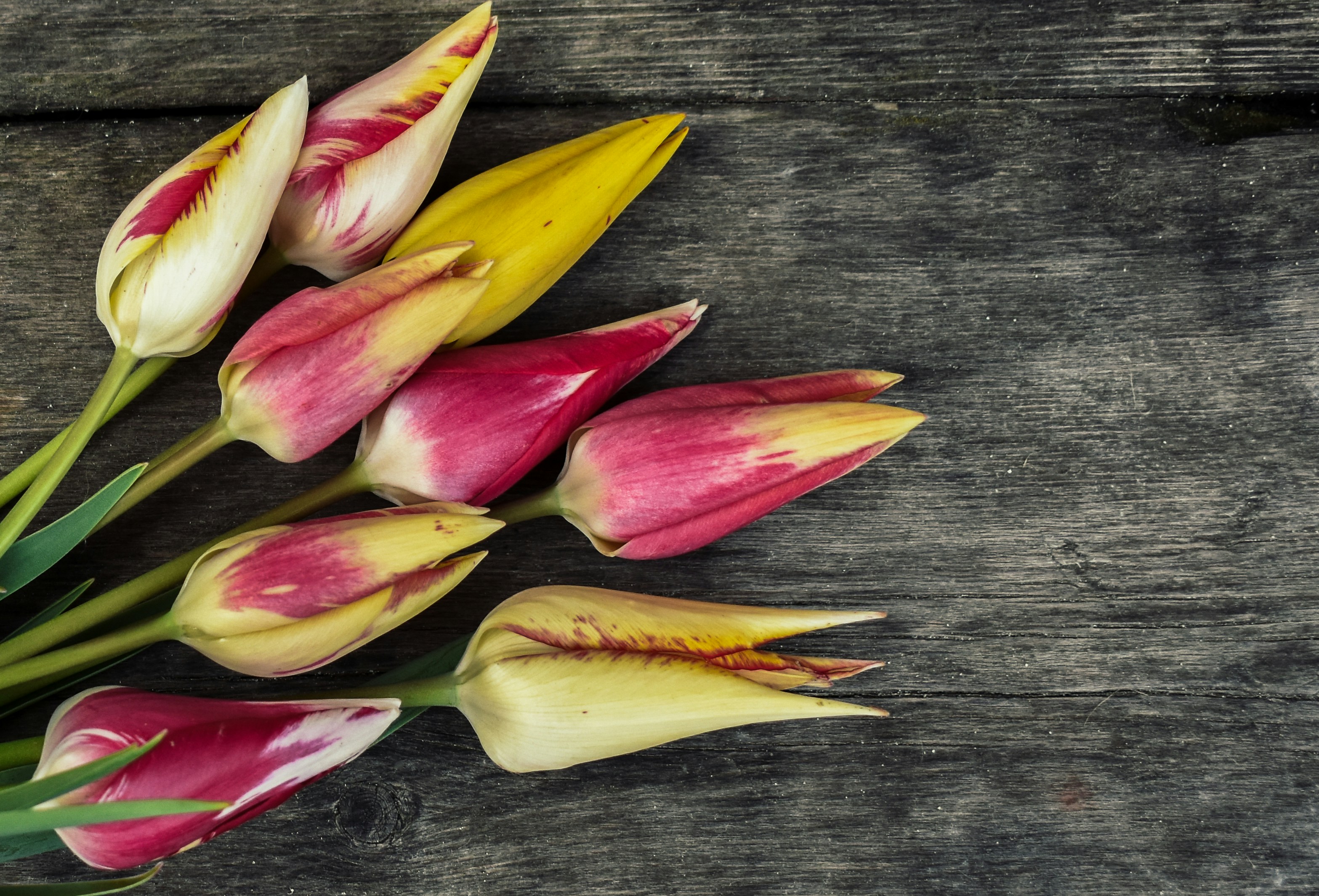 A vibrant arrangement of tulips in shades of pink and yellow resting on a rustic wooden surface.