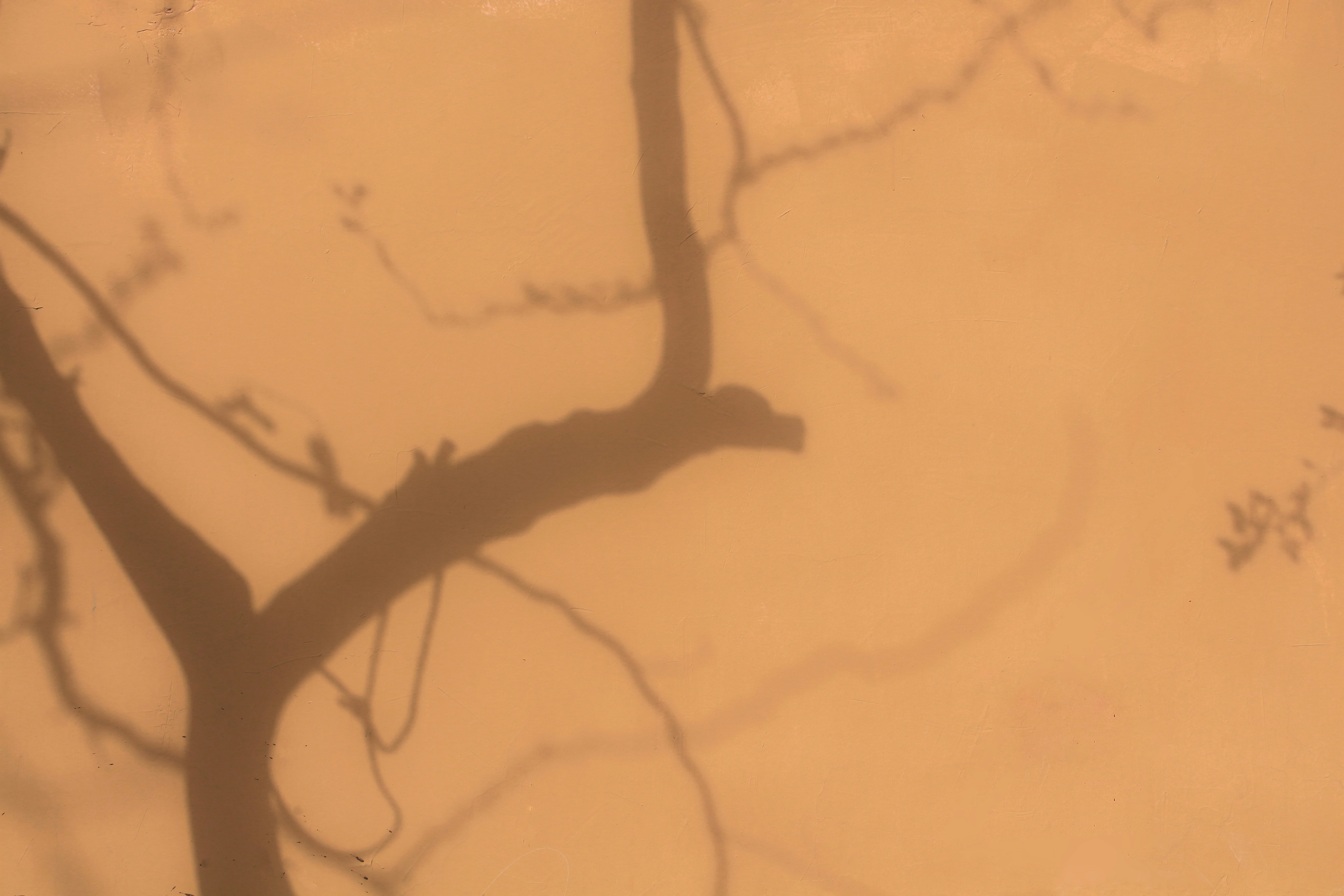 Runze Shi (@wizard_s) | Comunidad de fotos de Unsplash