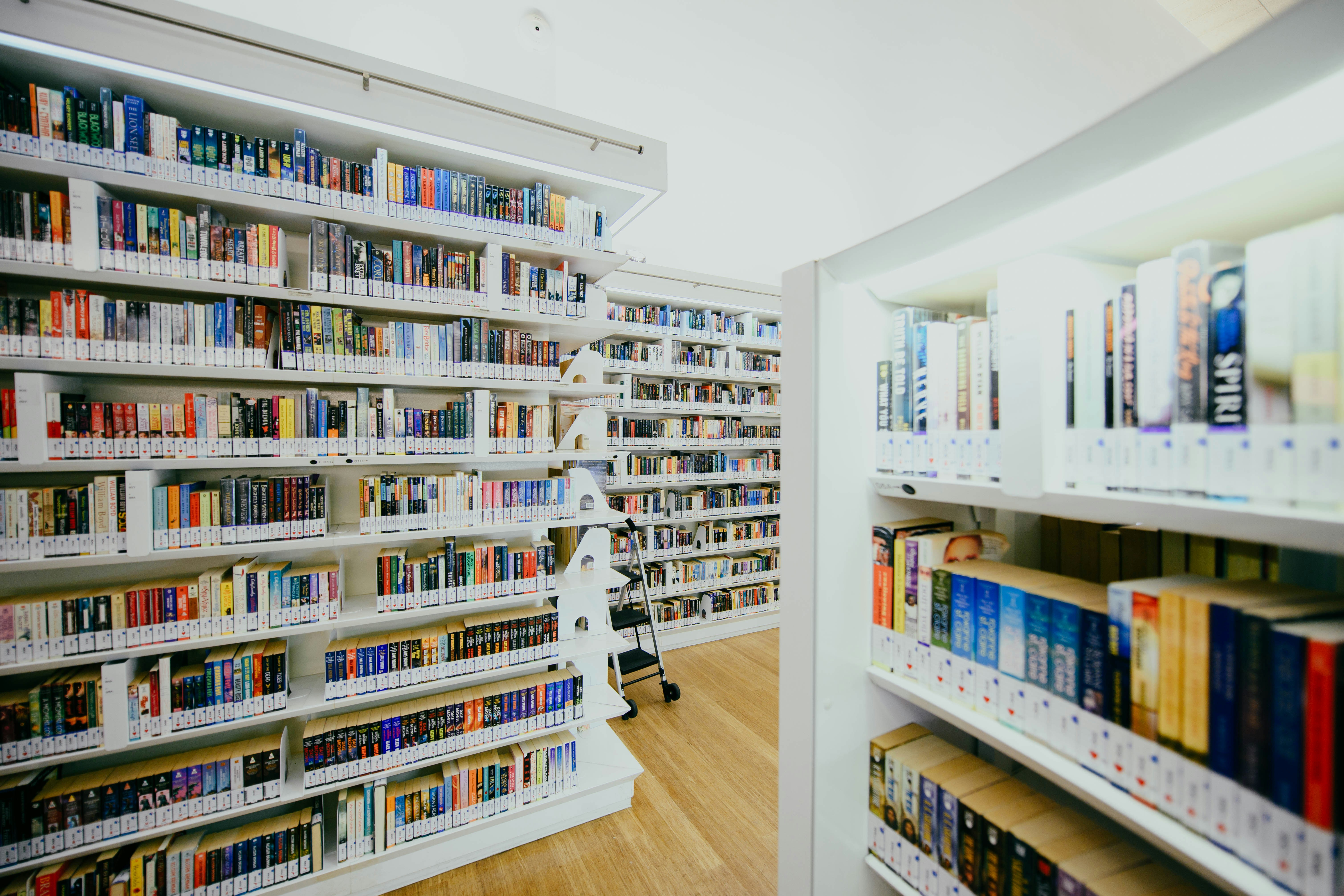 Inside library photo – Free Grey Image on Unsplash