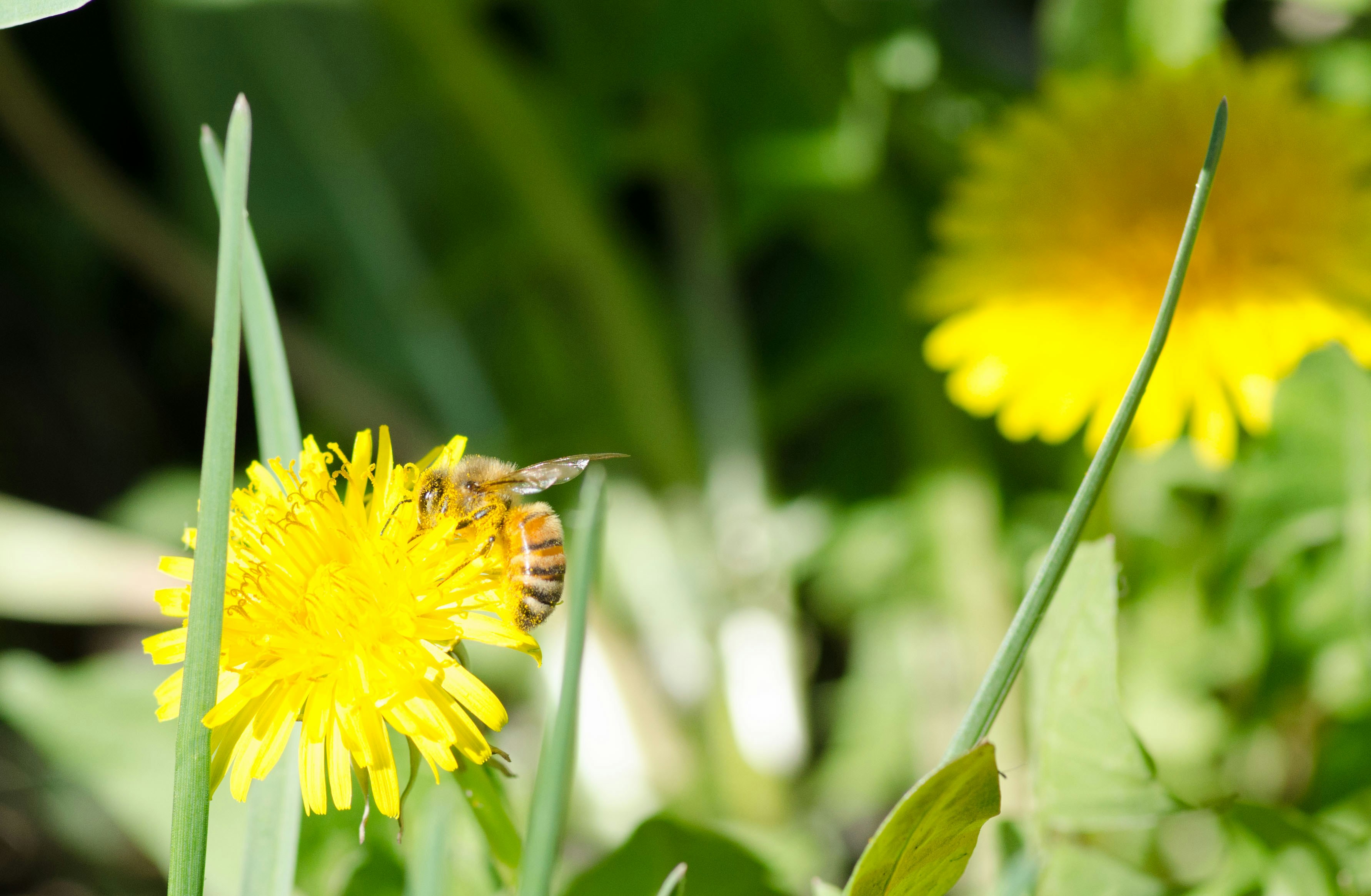 Alan Hardman (@alanaktion) | Unsplash Photo Community