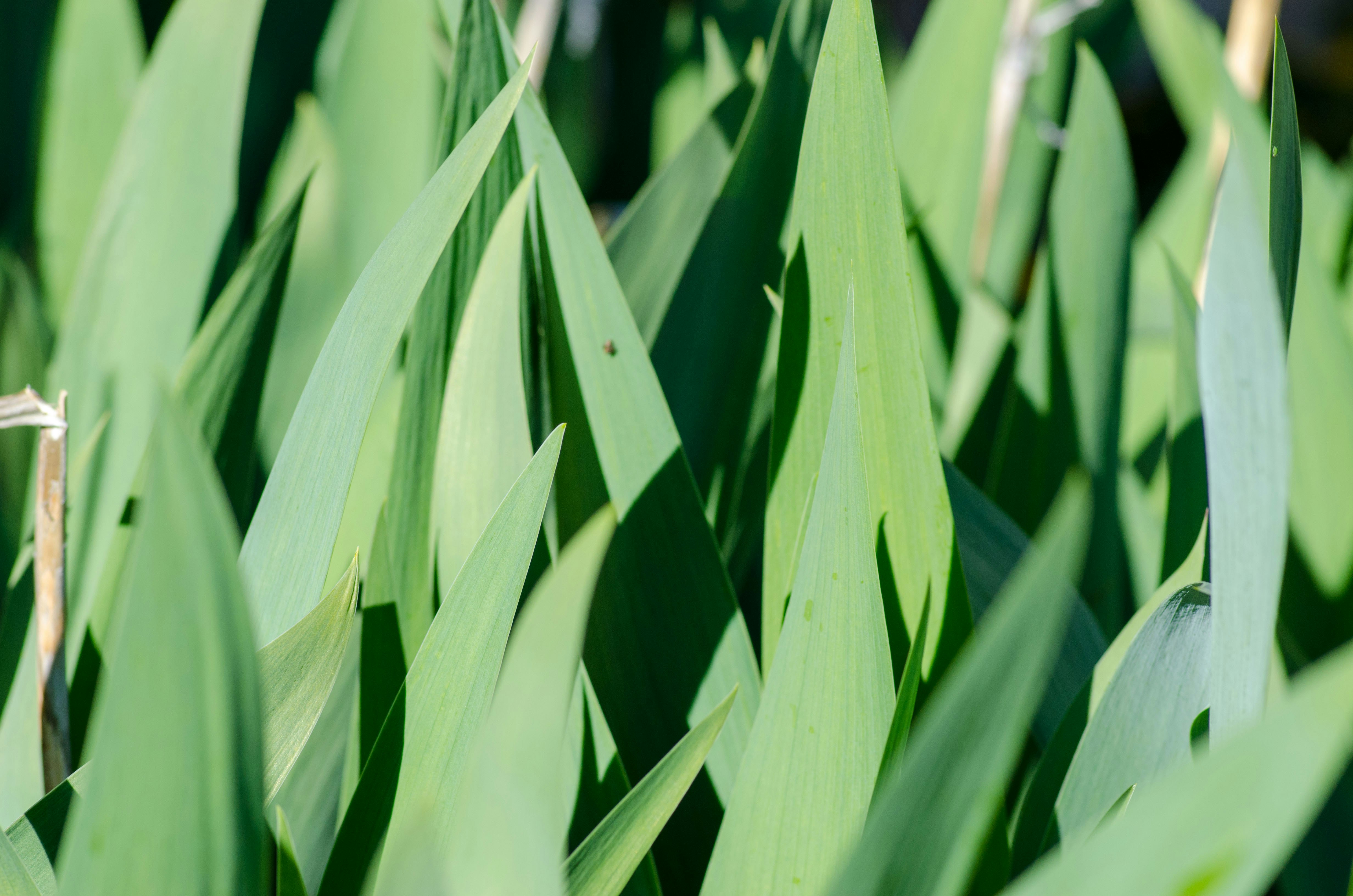 Alan Hardman (@alanaktion) | Unsplash Photo Community