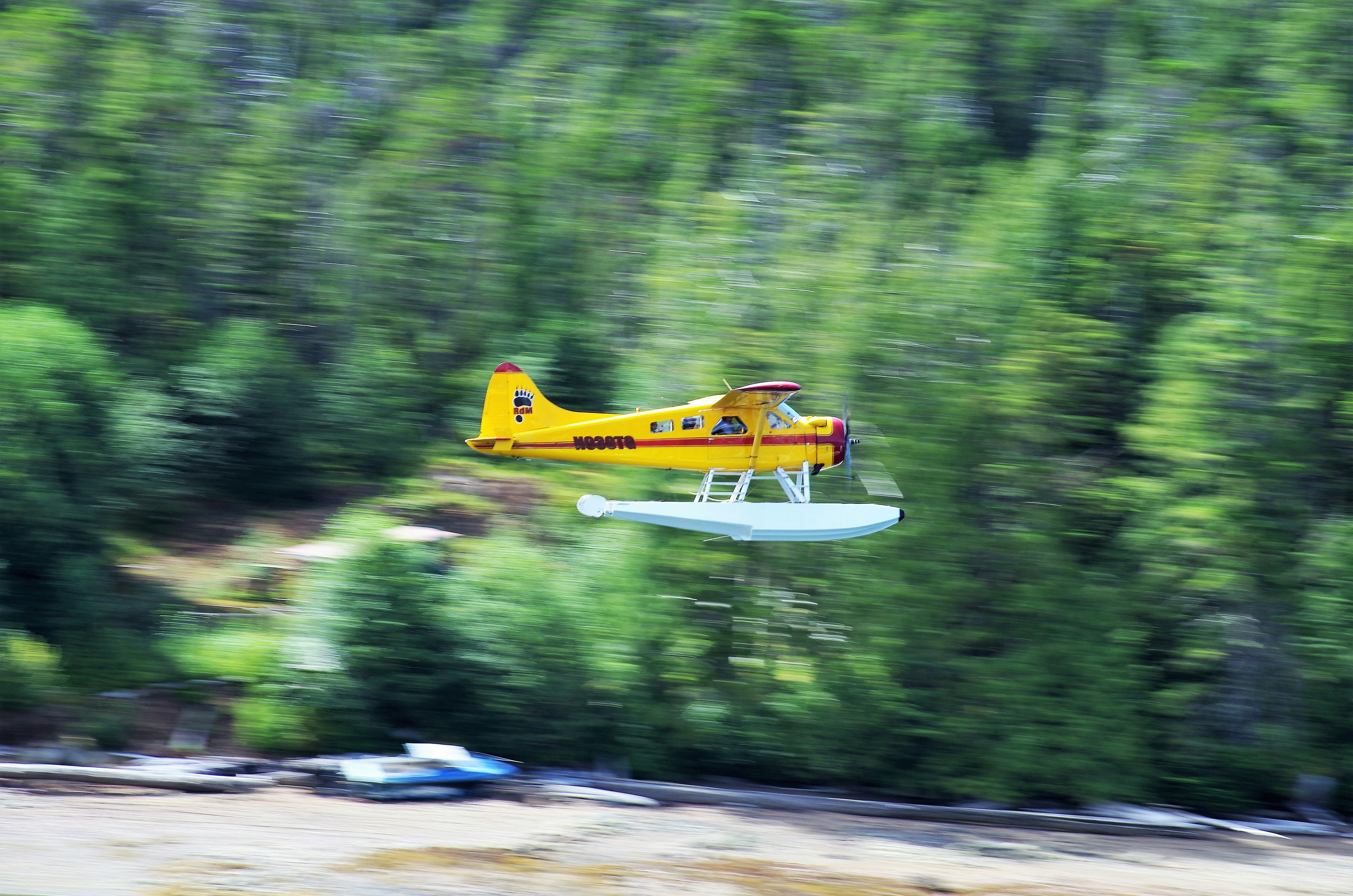 Yellow and white biplane flying near green trees photo – Free Aircraft ...