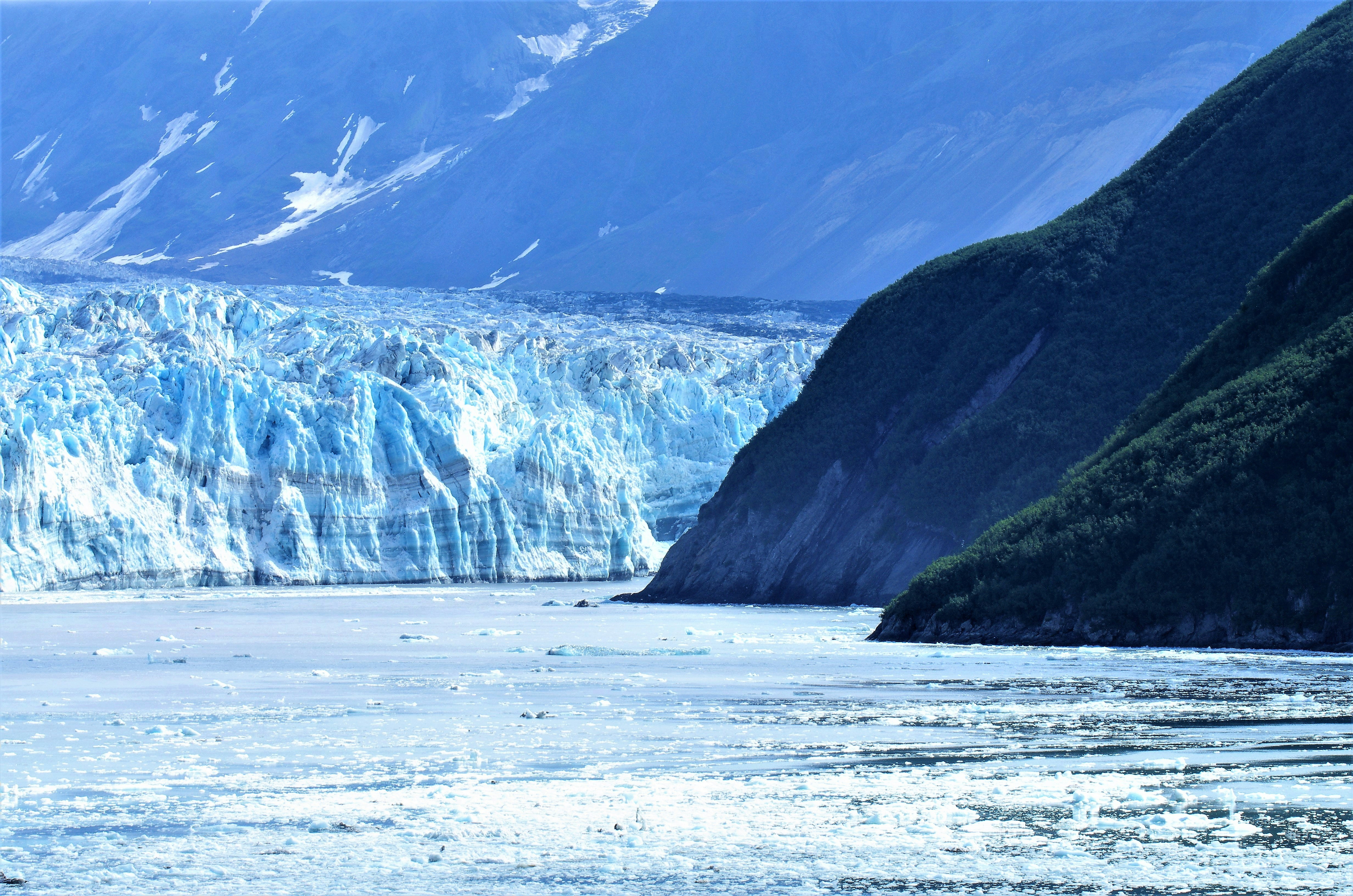 Majestic glacier meets rugged coastline under a clear blue sky, showcasing nature's raw beauty. The interplay of ice and land forms a striking contrast.
