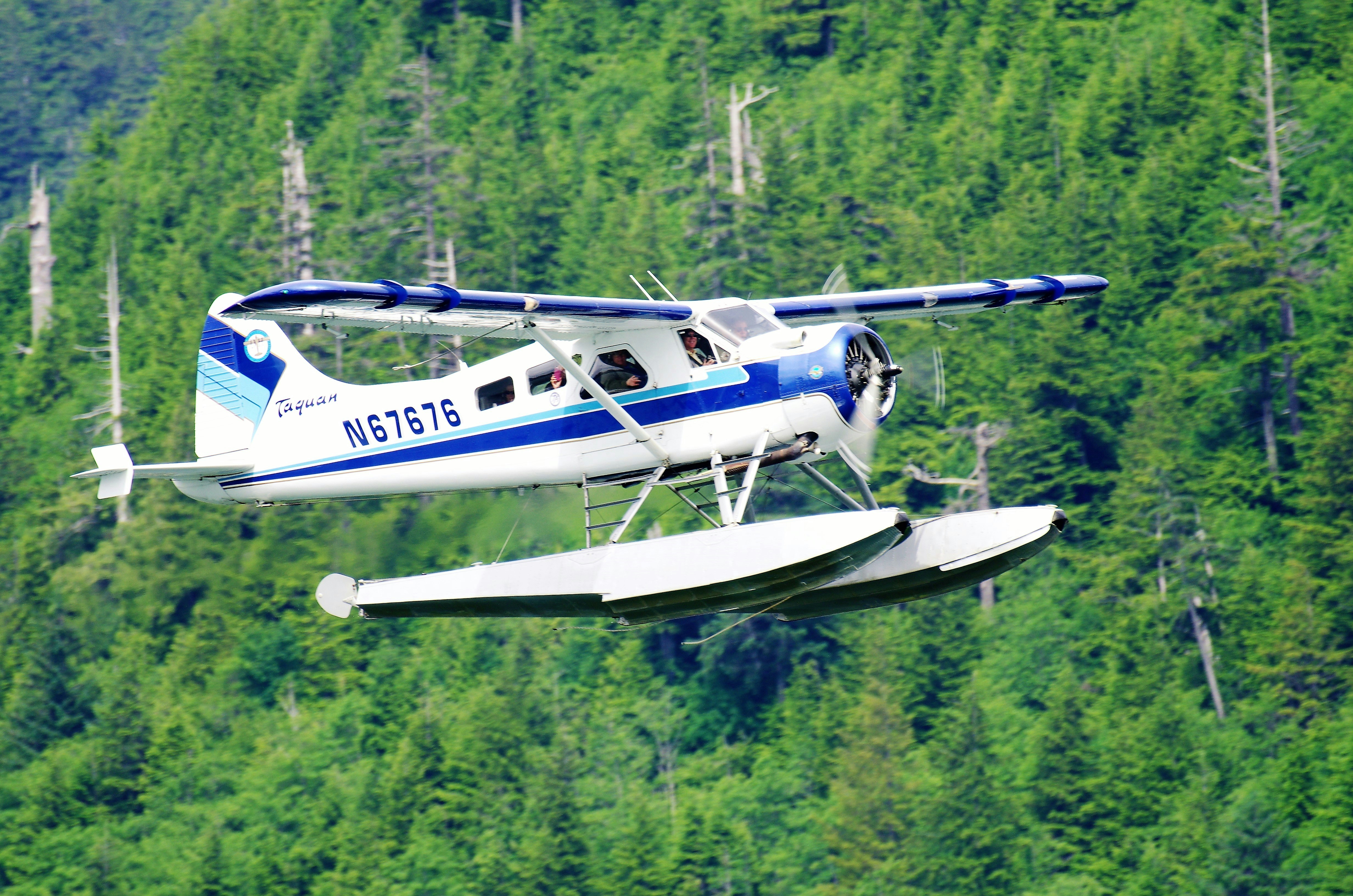High- Wing Floatplane in Flight over Pine Forest