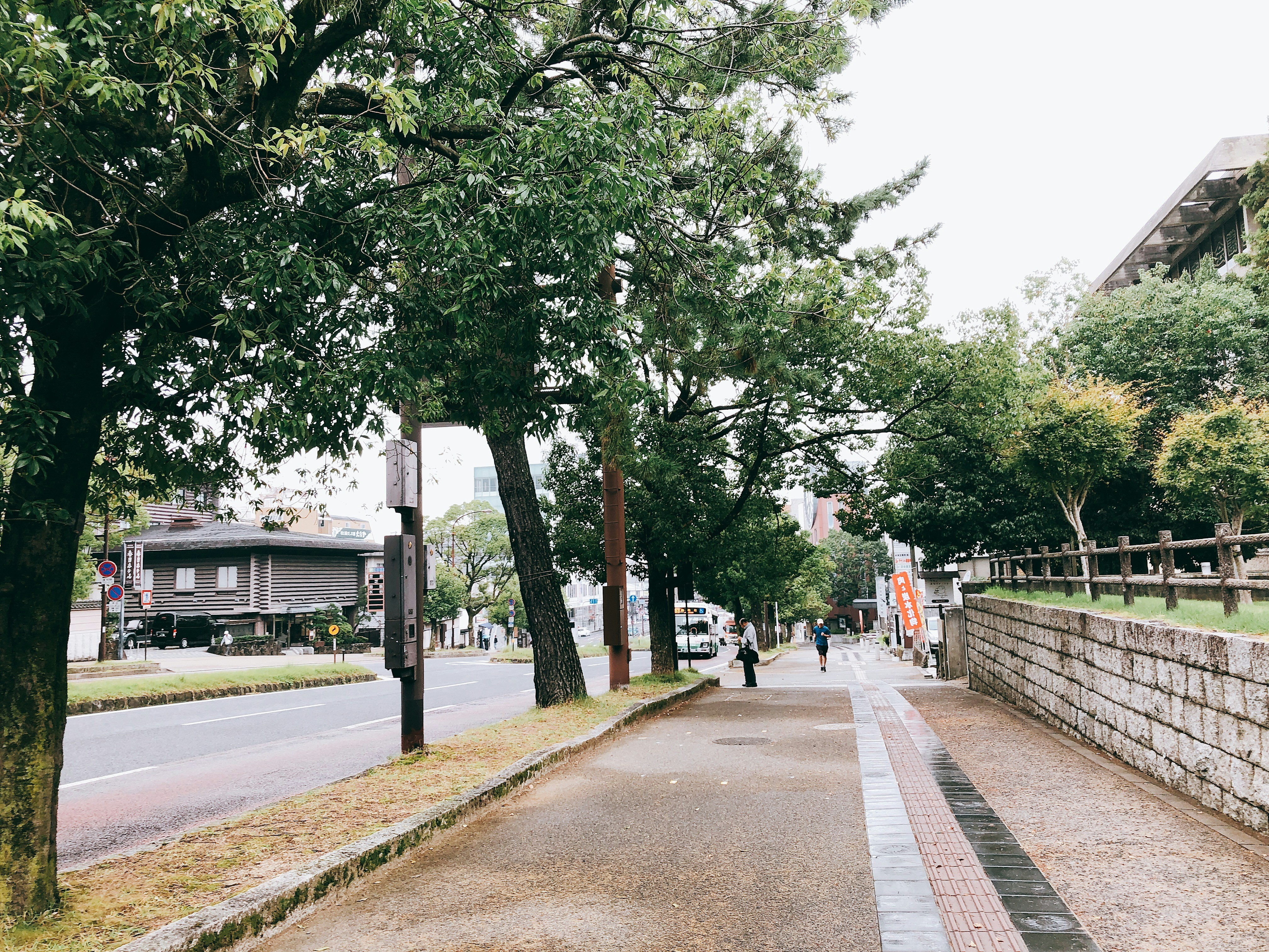 Person walking beside street photo – Free Path Image on Unsplash