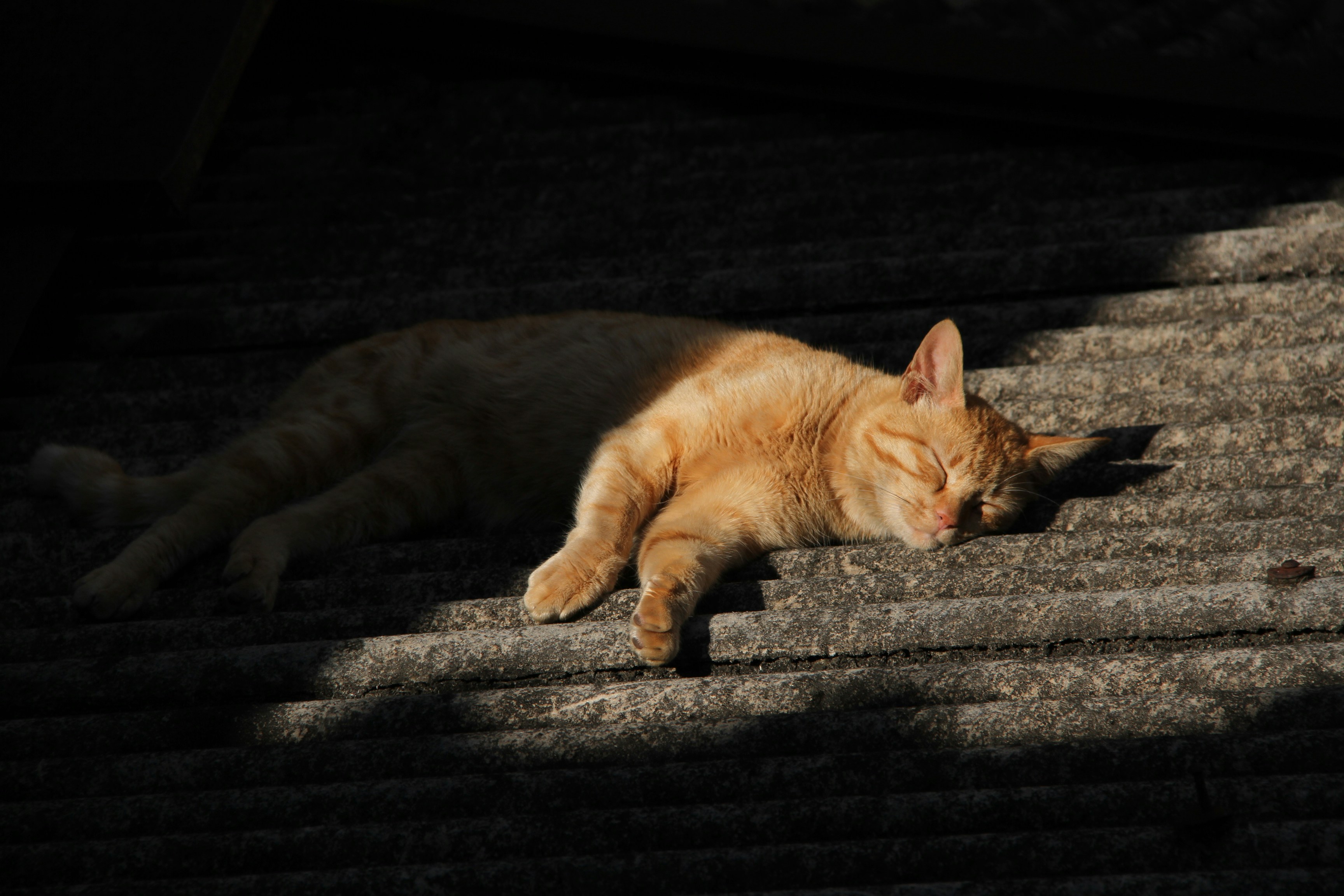 A relaxed orange cat peacefully sleeping on textured roofing under a play of light and shadow.