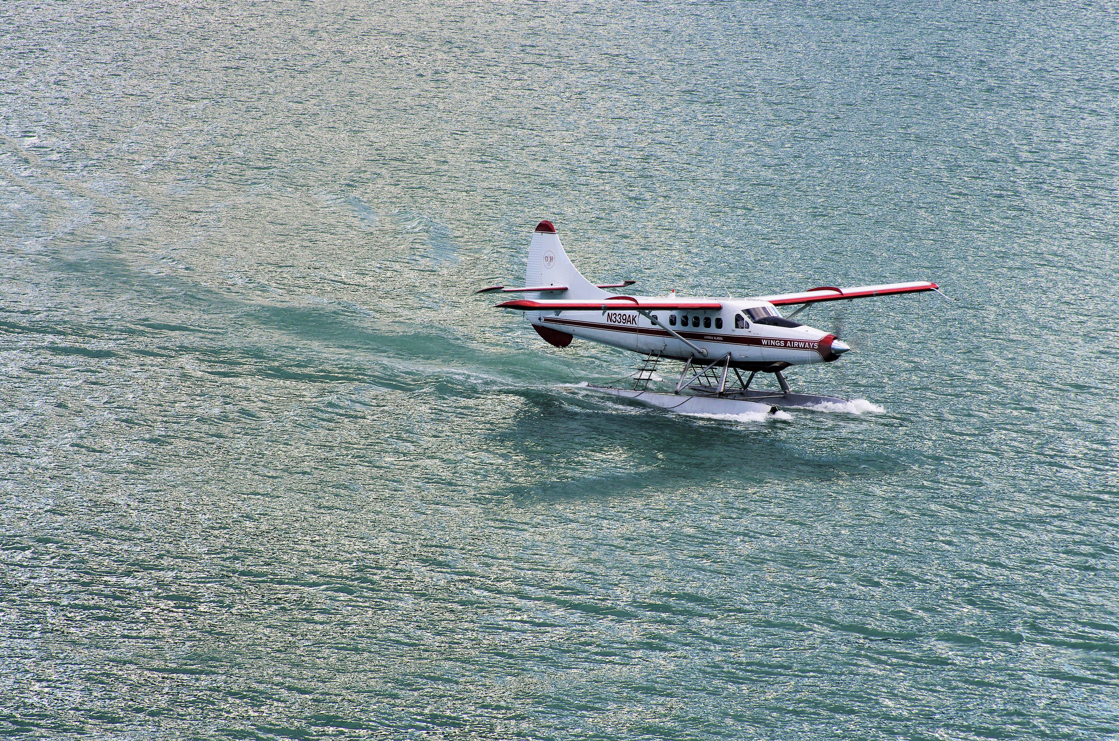 White and red seaplane riding on sea photo – Free Grey Image on Unsplash