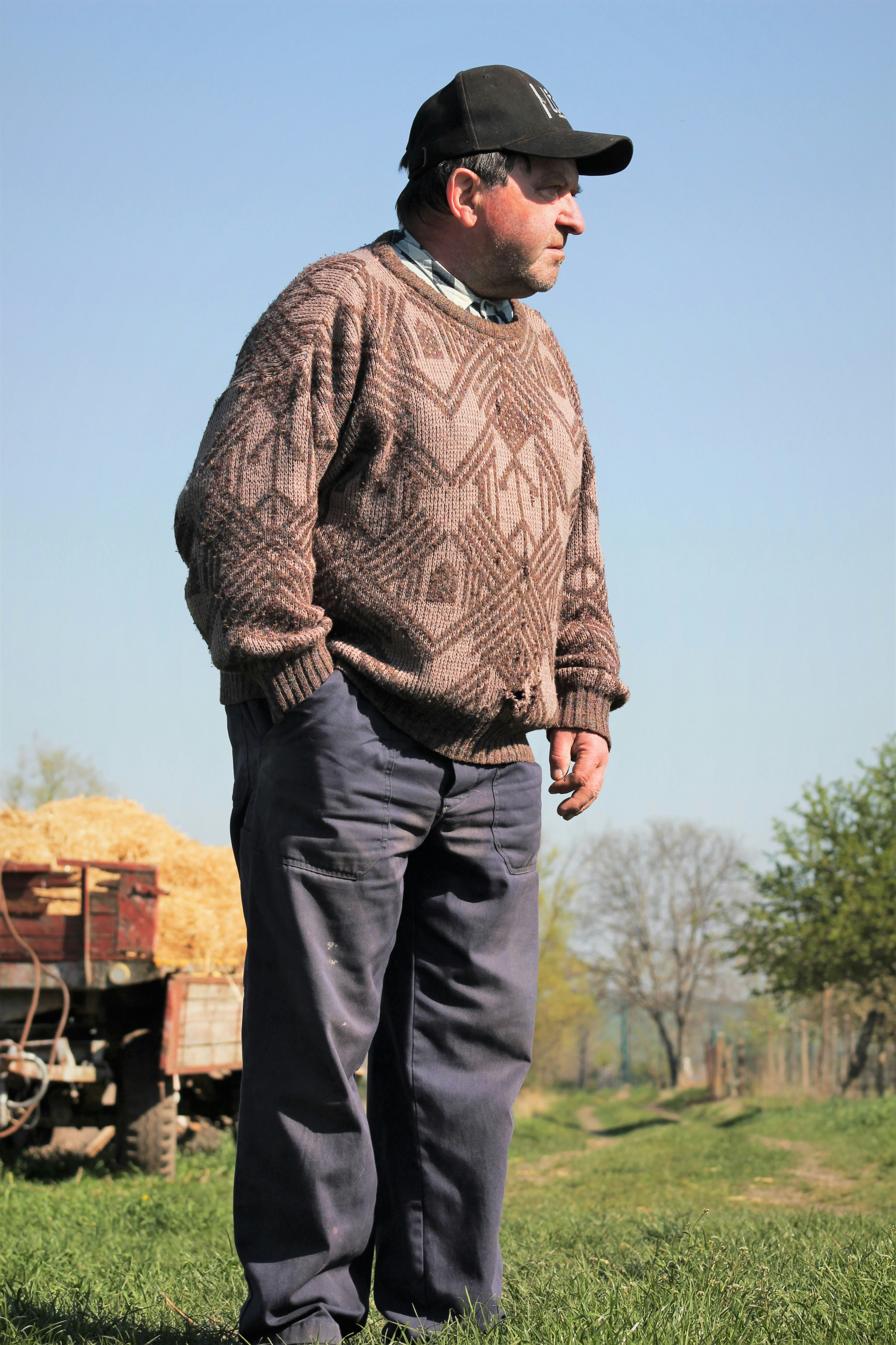 Horizon Gaze: A man in a geometric sweater anchors a sunlit rural scene