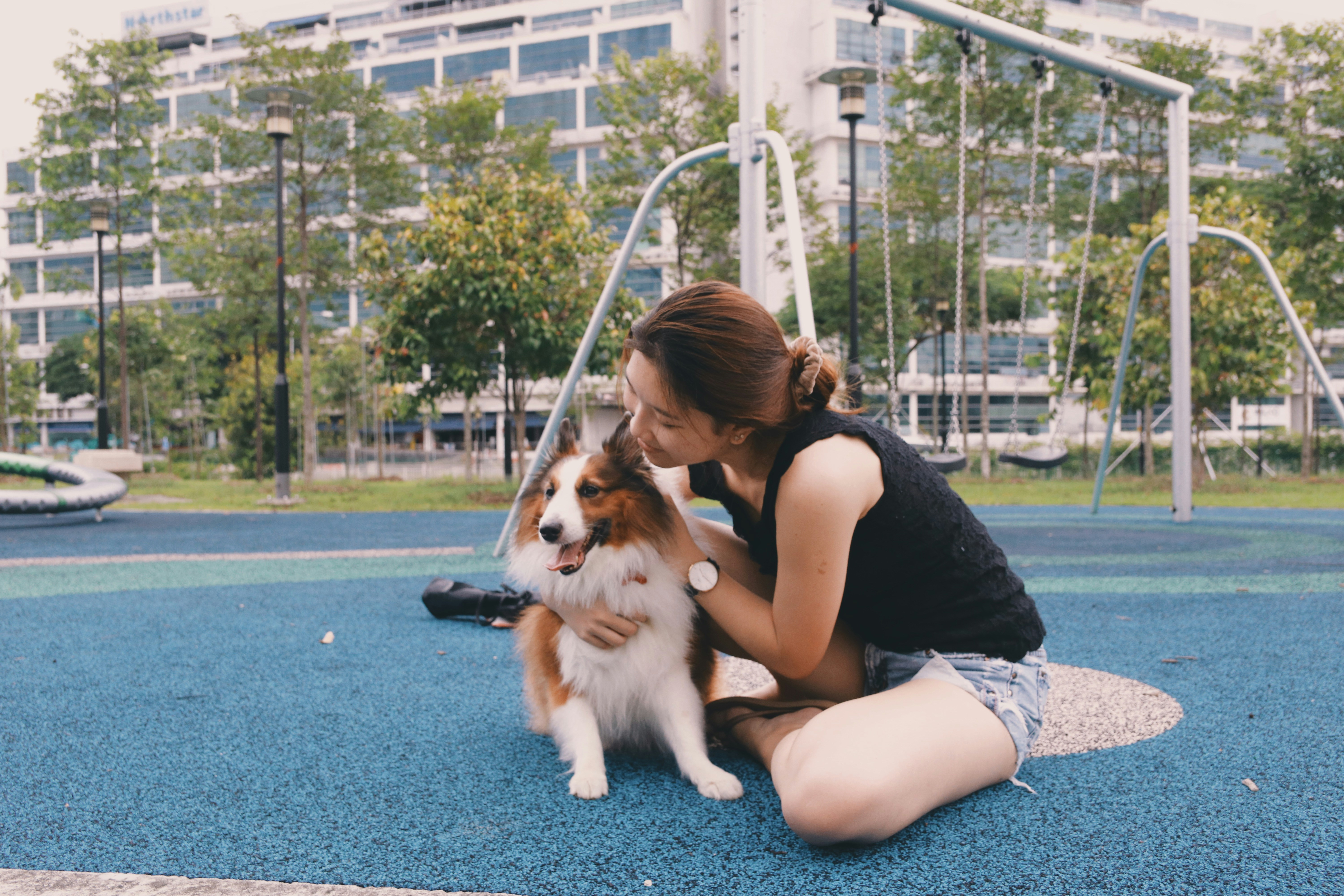Blue Playground Moment: A Woman and Her Dog Share a Quiet Affection