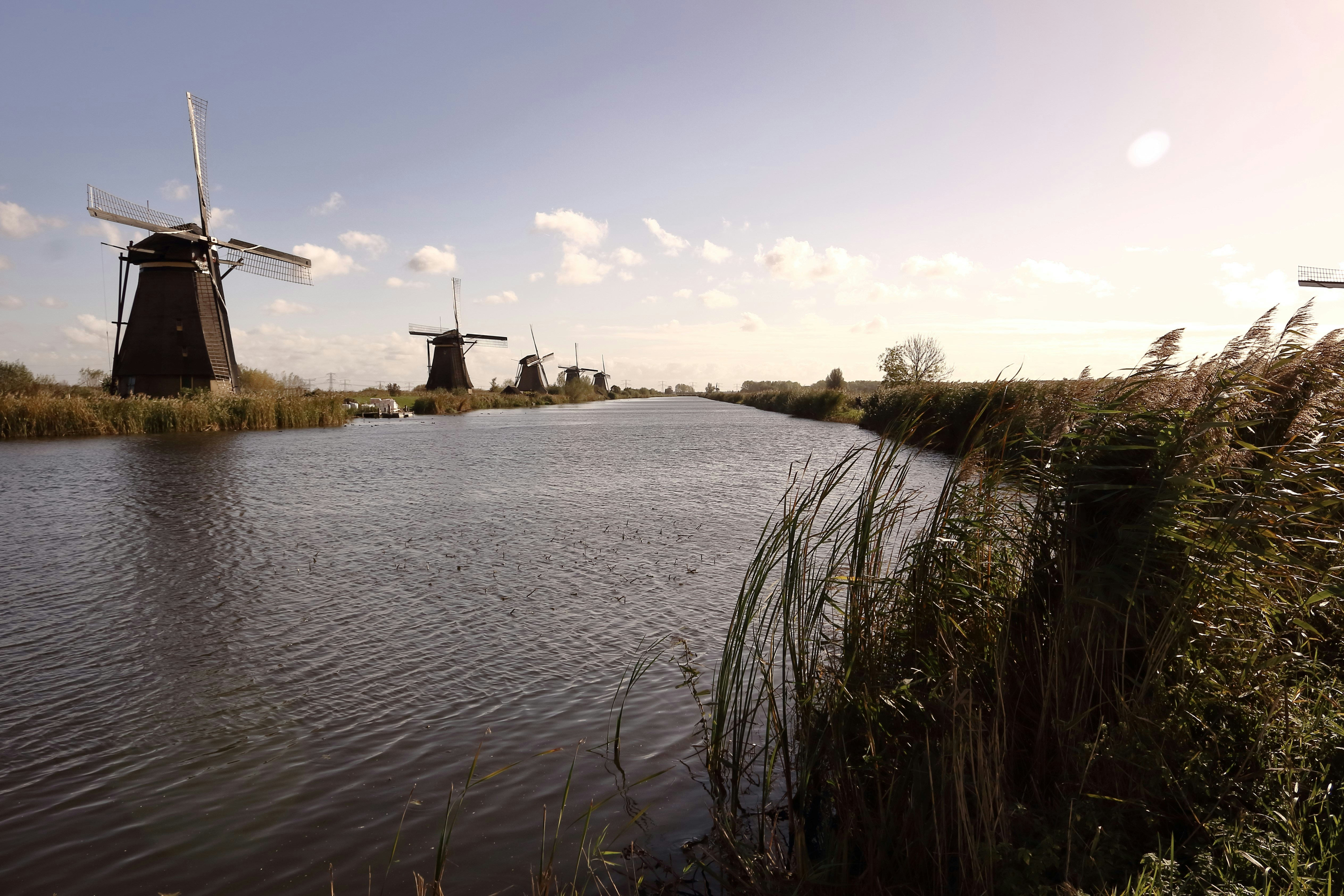 Windmills lining a tranquil canal under a clear sky, with tall grasses swaying in the breeze.