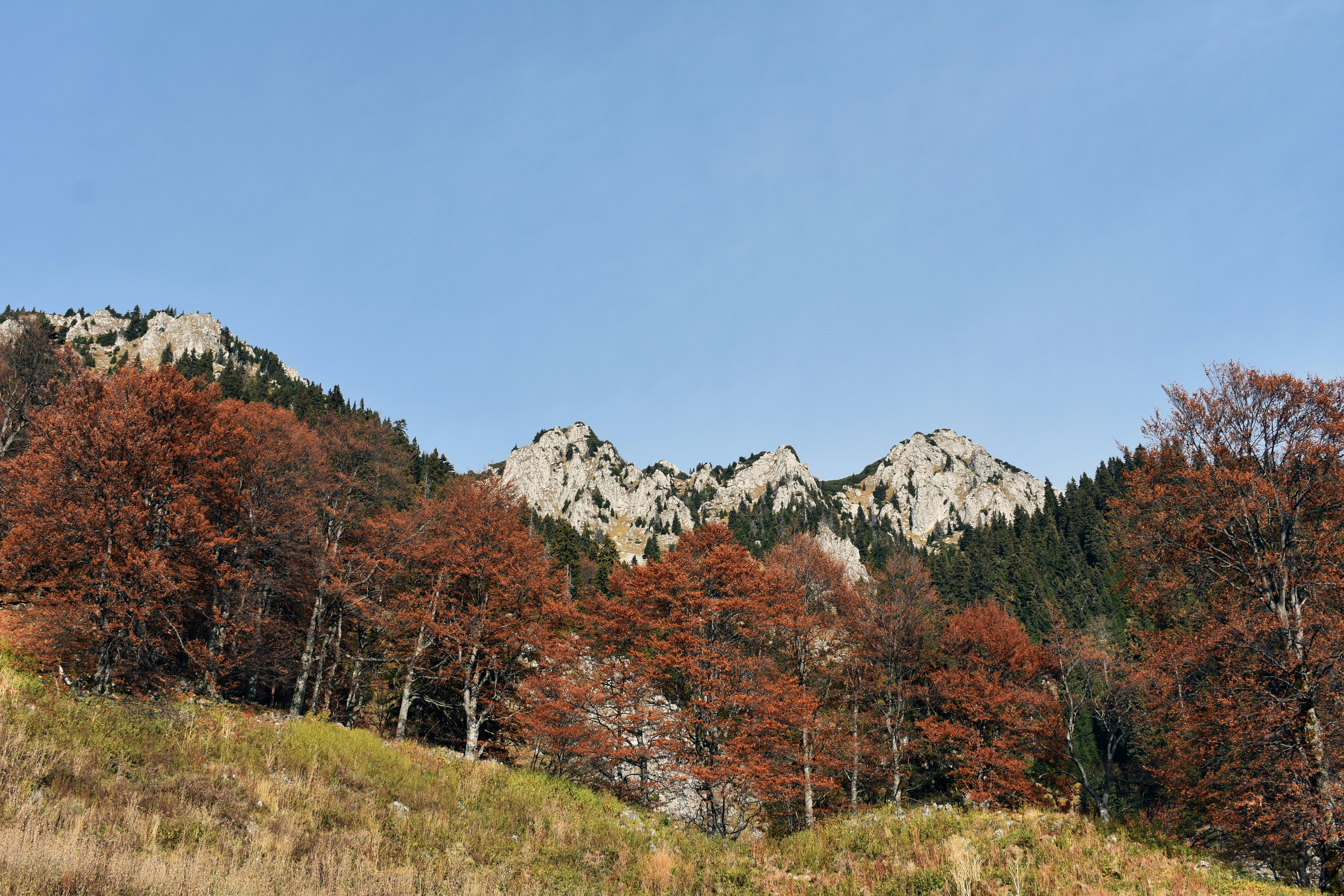 Vibrant autumn foliage contrasts with rugged mountain peaks under a clear blue sky.