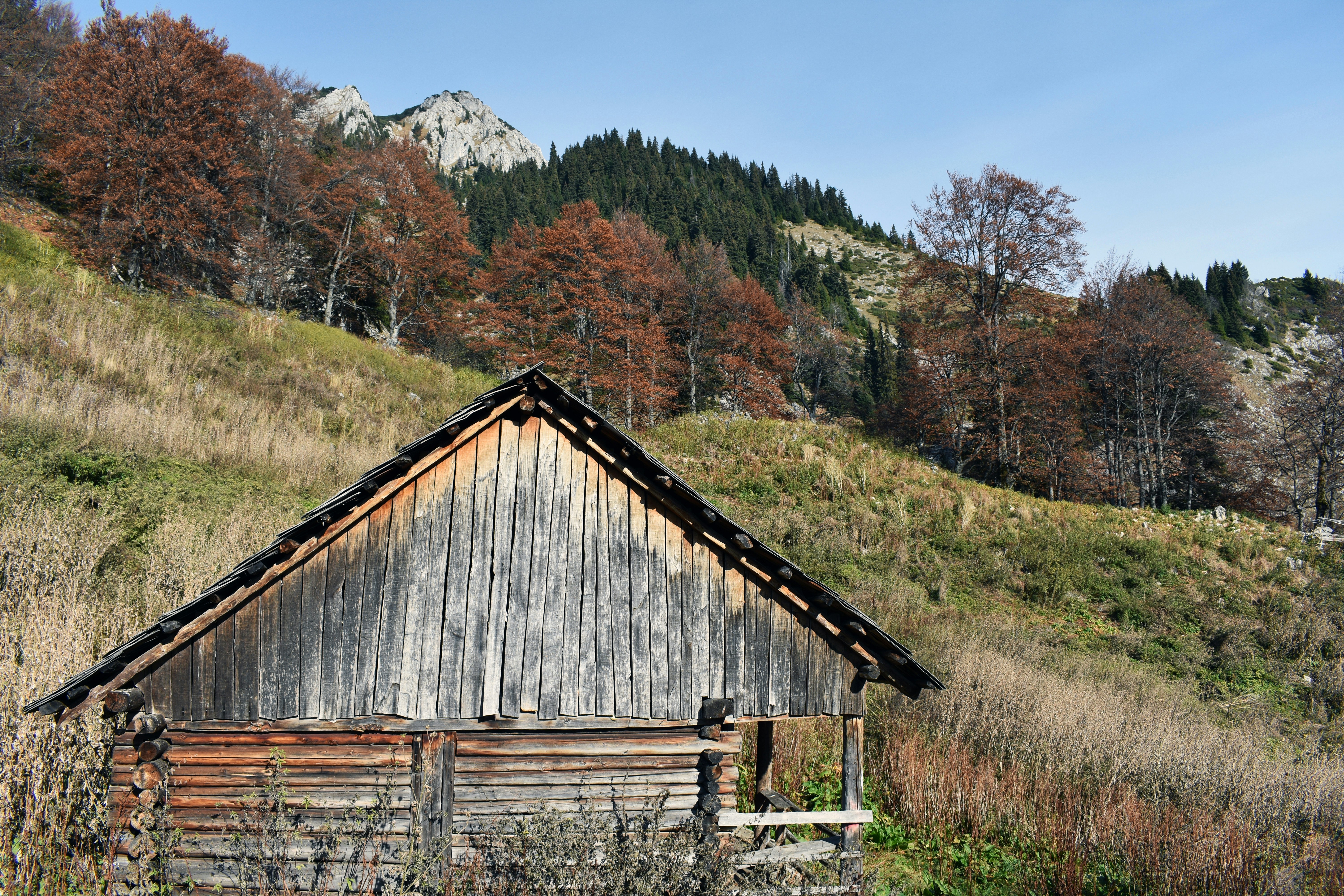 Weathered wooden cabin nestled in a grassy hillside with autumn trees and distant mountains.